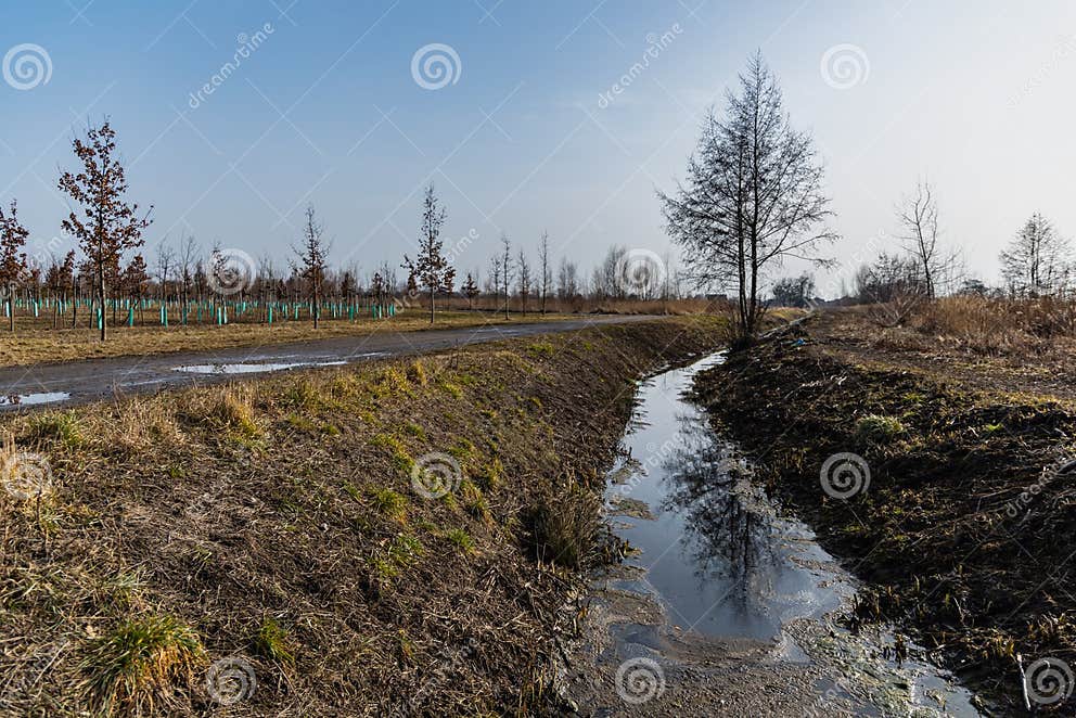 Long Stream Next To Path and Big Tree Plantation Stock Image - Image of ...