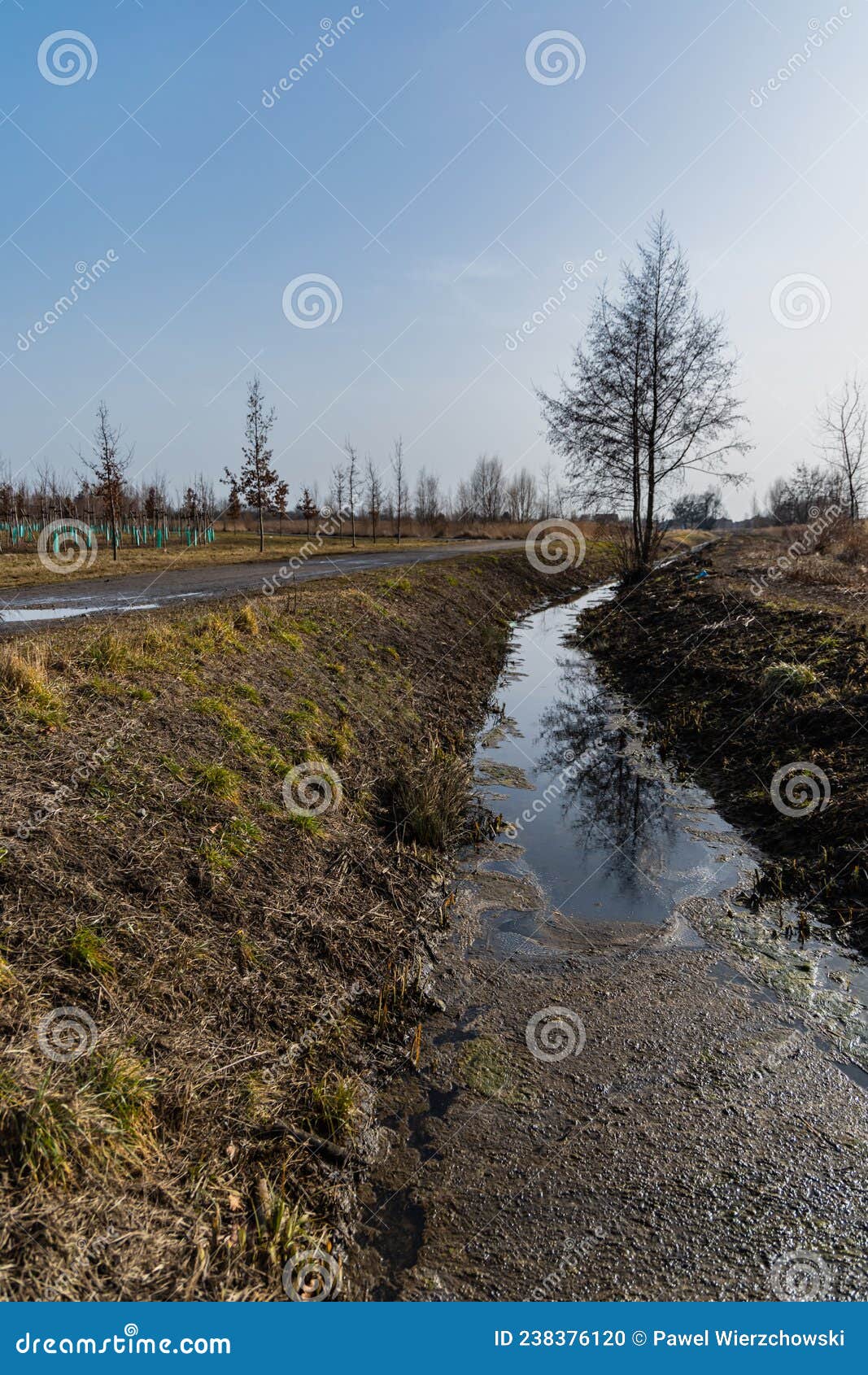 Long Stream Next To Path and Big Tree Plantation Stock Photo - Image of ...