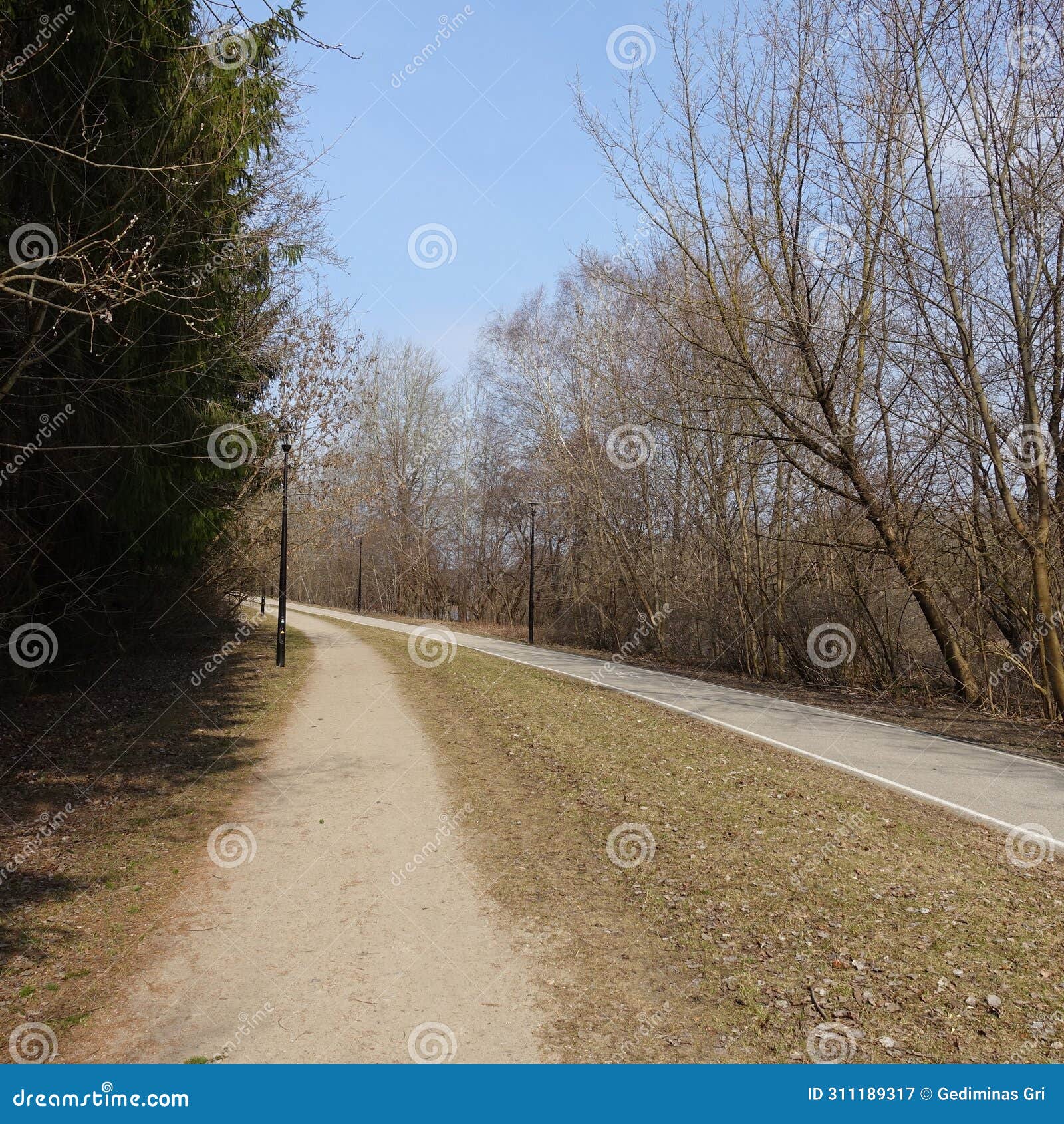 A Long Smooth Footpath in the Park Stock Image - Image of footpath ...