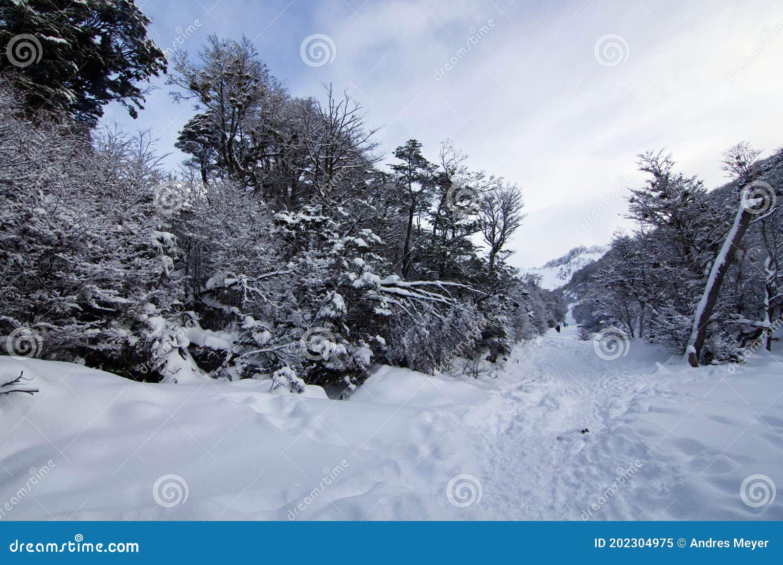 The long snow path stock image. Image of forming, scattered - 202304975