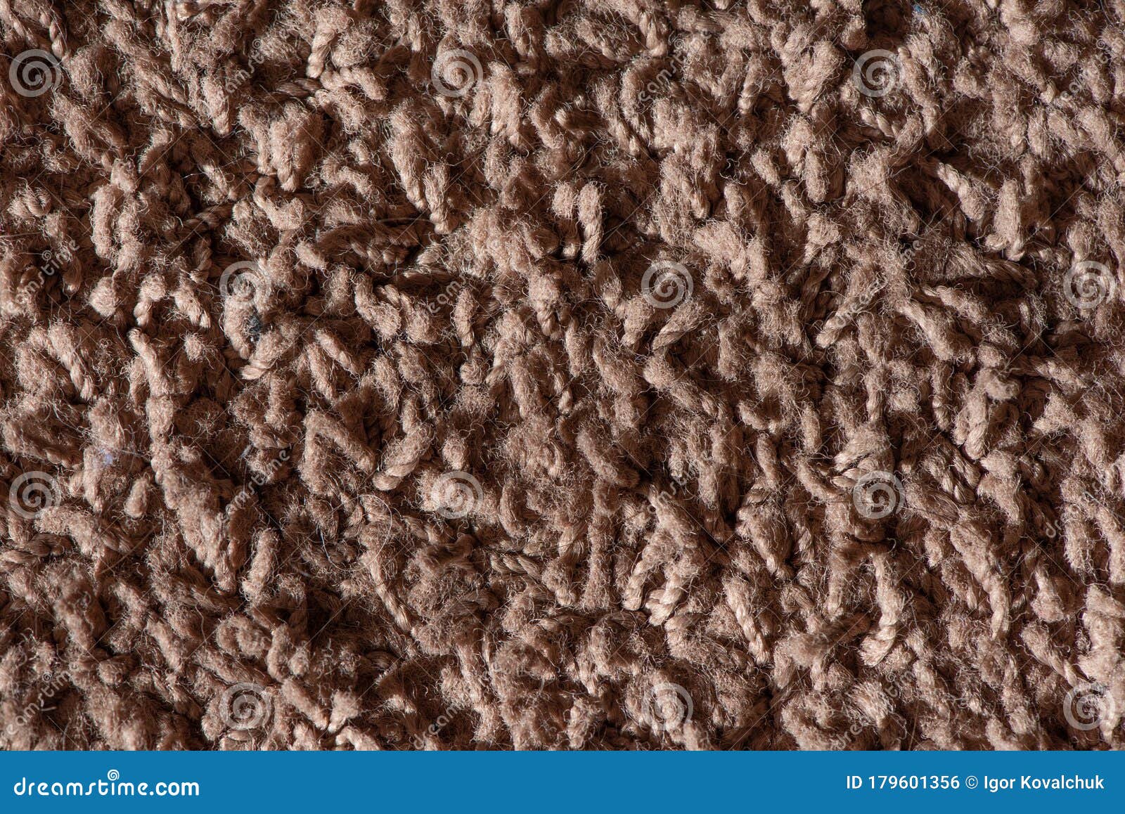 Long soft pile carpet stock photo. Image of closeup - 179601356