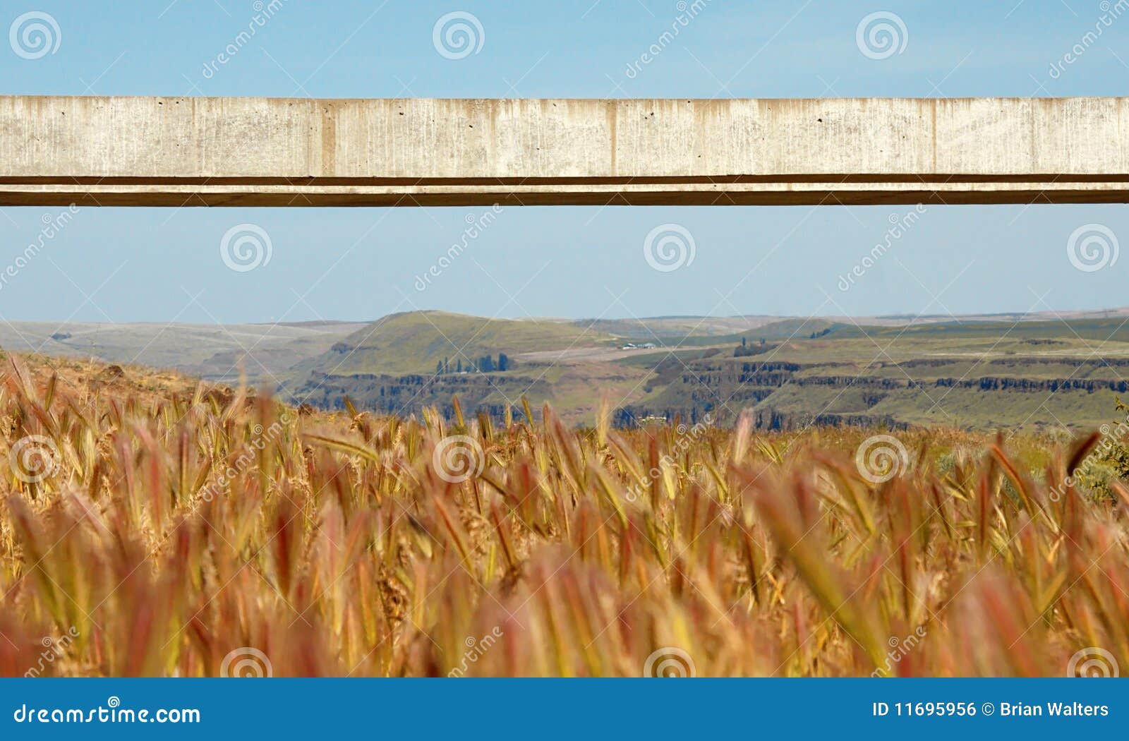 Long Span Concrete Beam stock photo. Image of landscape - 11695956