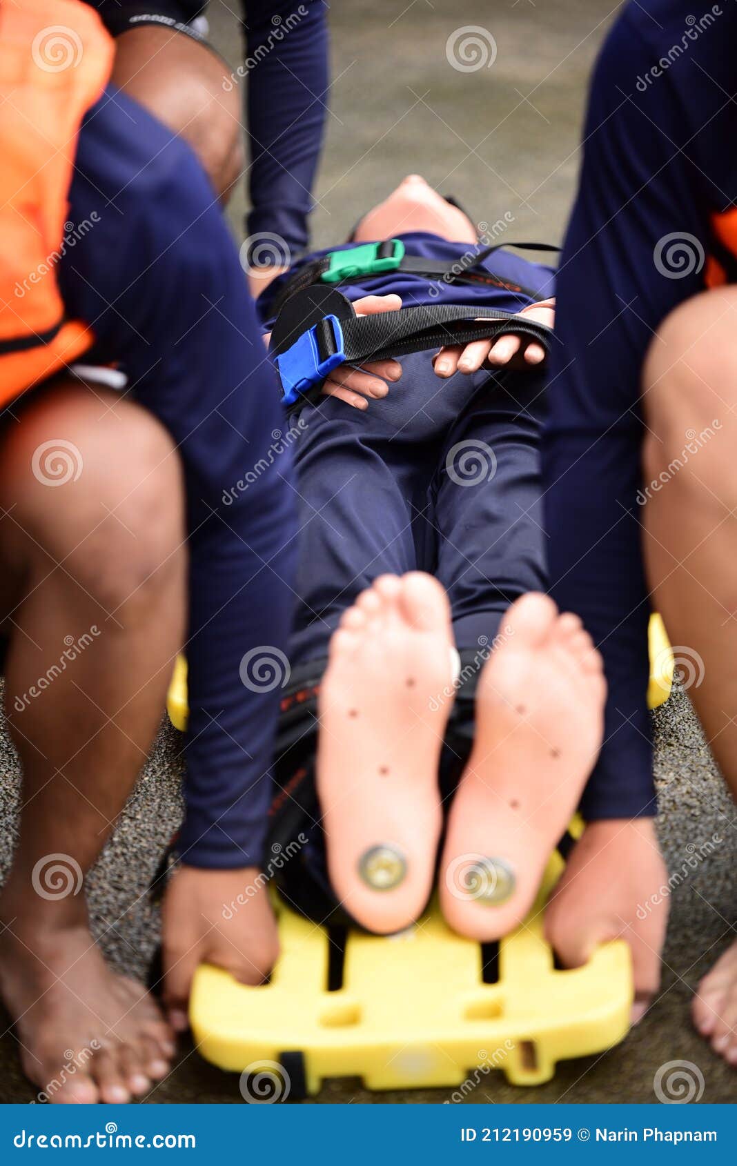 BOARD Cervical Spine, Second Cervical Vertebra Stock Image ...