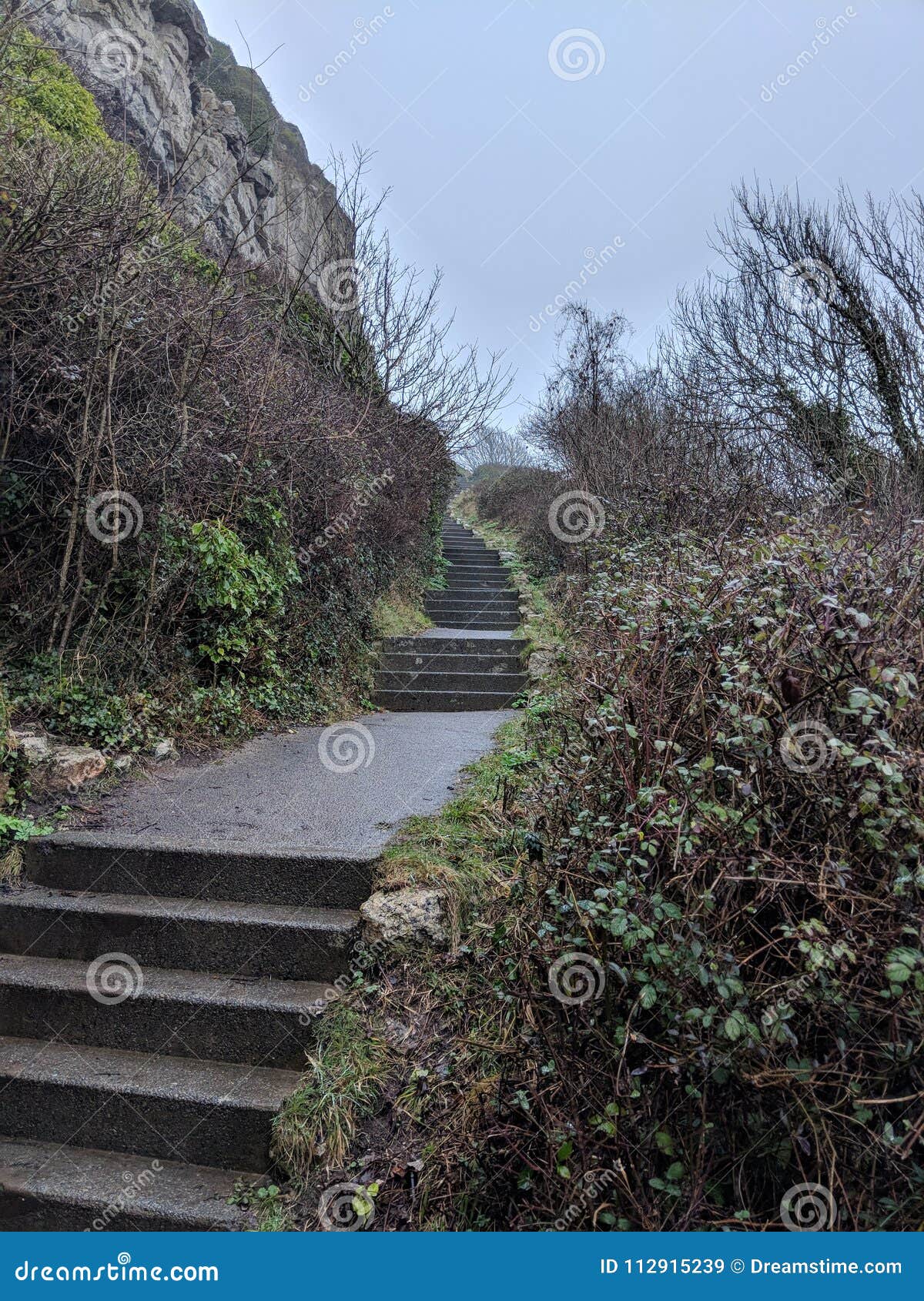 Long stair path stock image. Image of empty, long, stair - 112915239