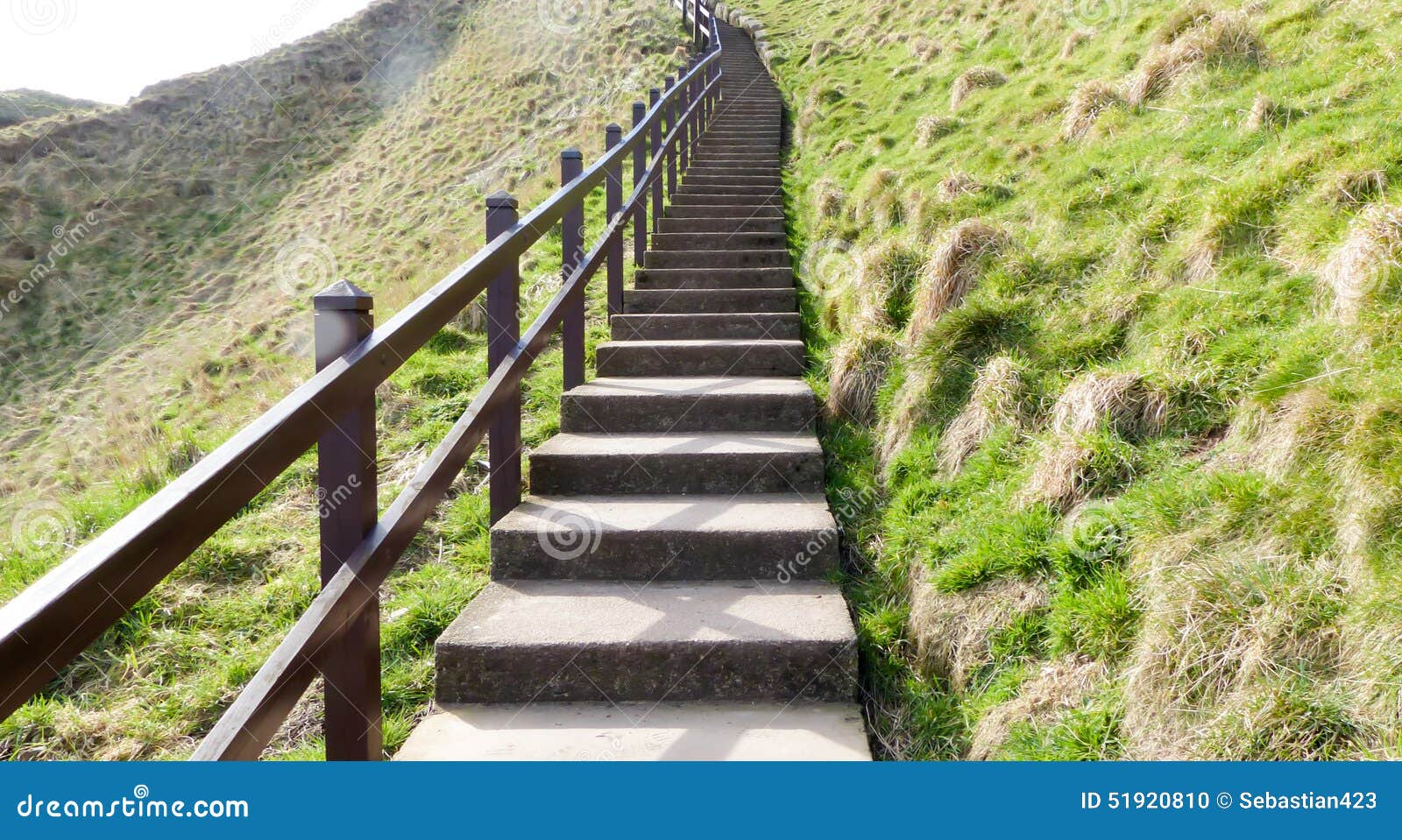 Long stairway stock photo. Image of point, grass, steps - 51920810