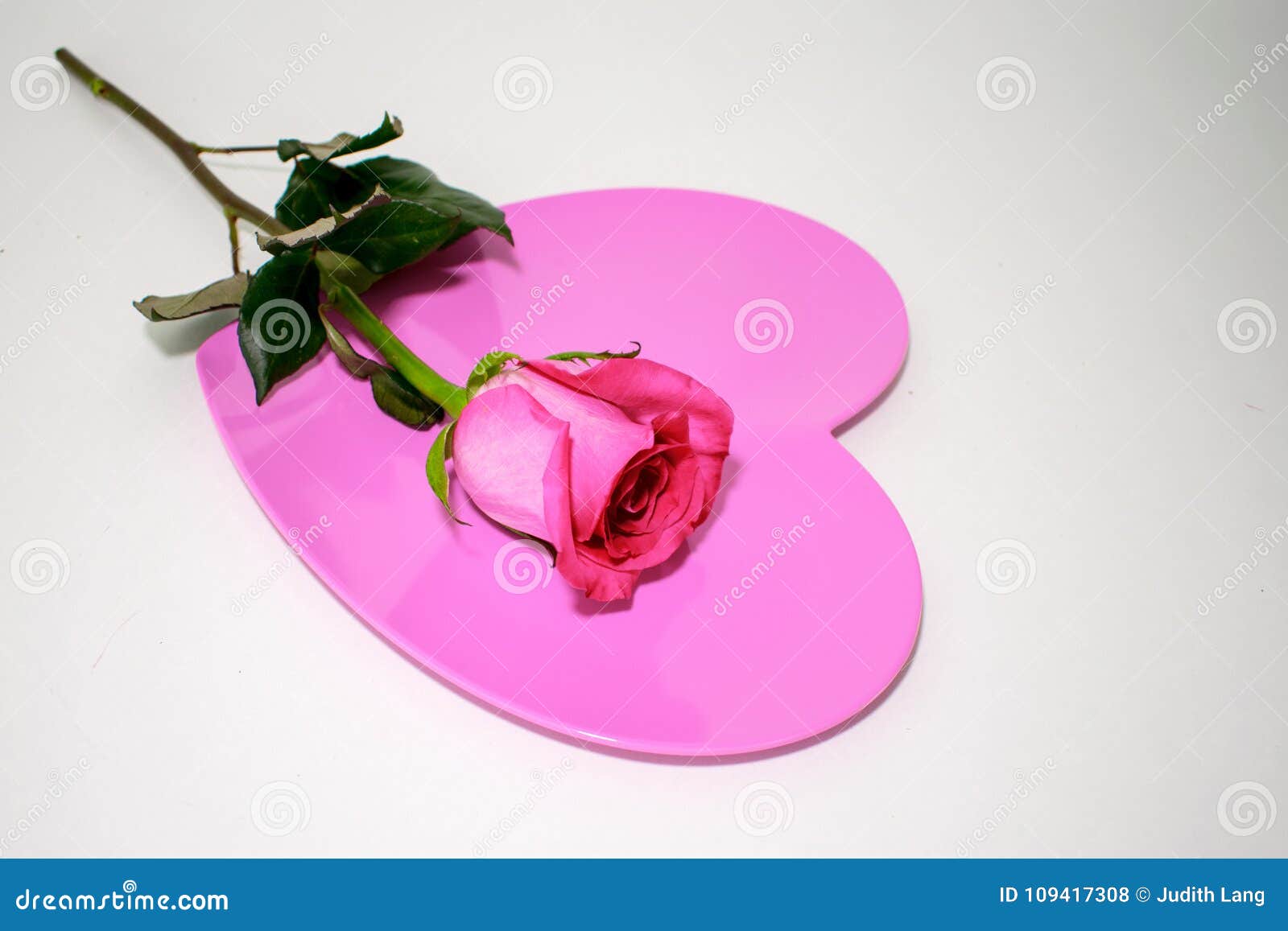 On Long Stem Pink Rose on Top of Pink Heart Stock Photo - Image of card ...