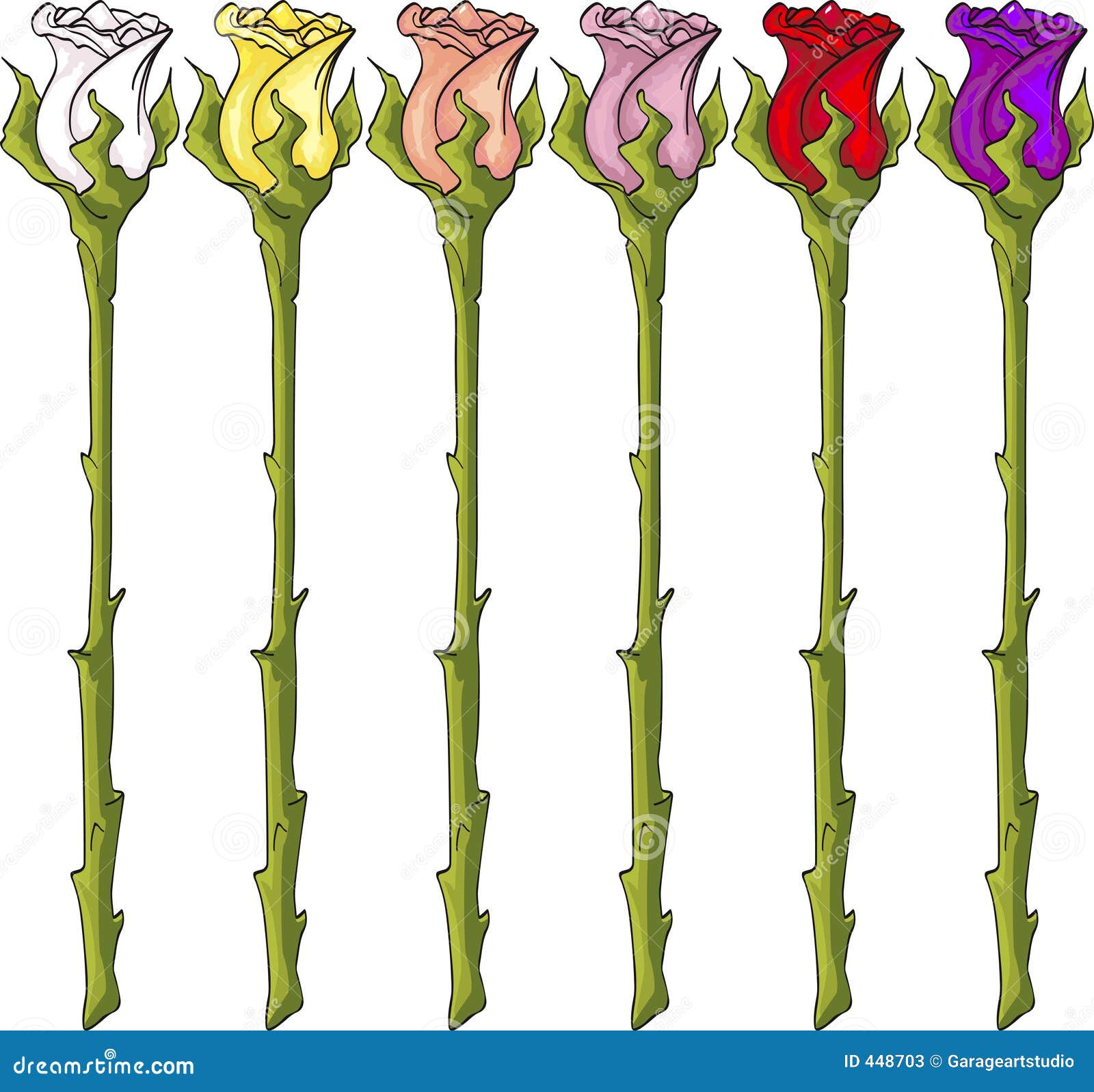 Long Stem Roses stock vector. Illustration of occasions - 448703