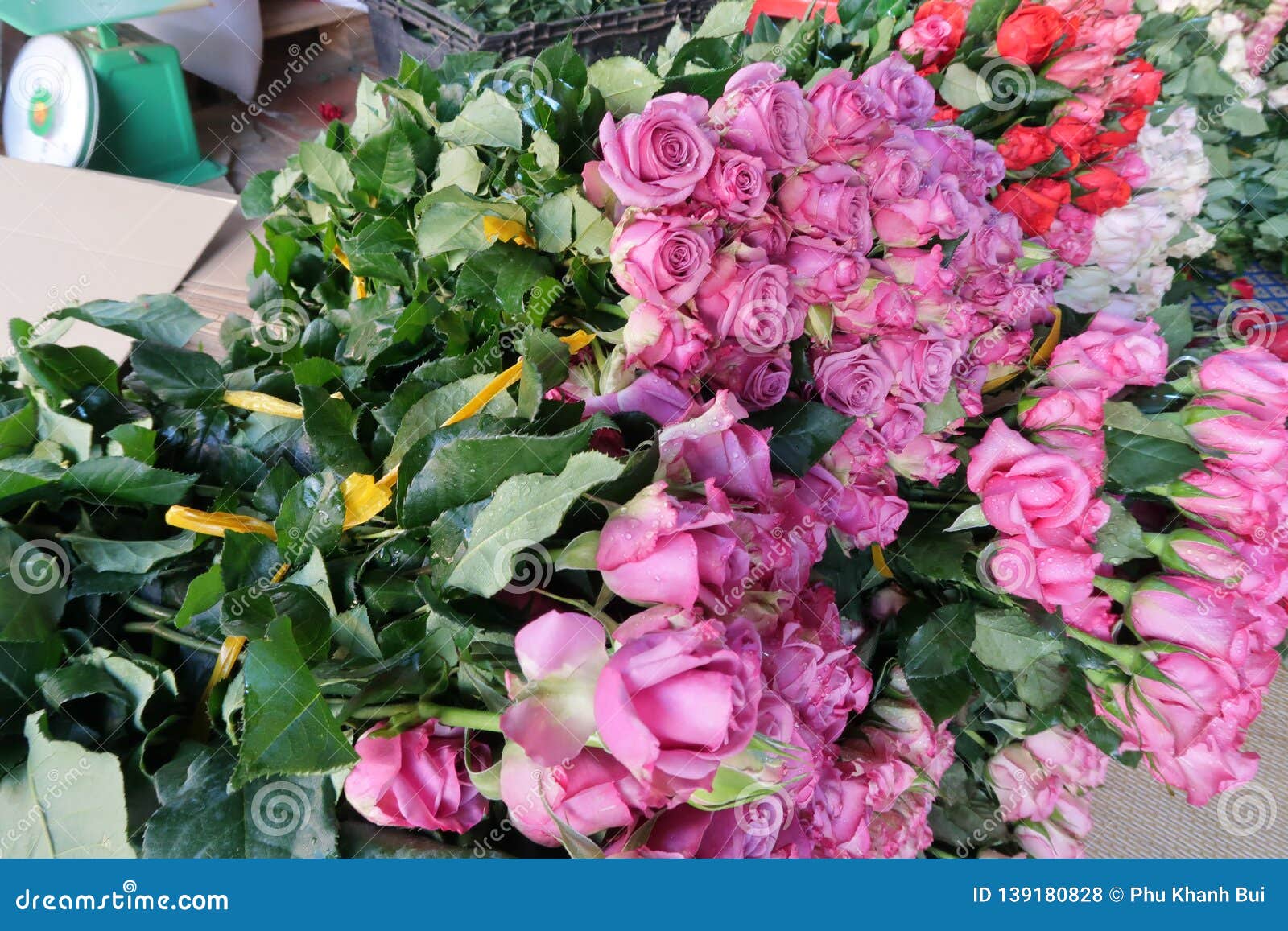 Long Stem Roses stock photo. Image of anniversary, background - 139180828