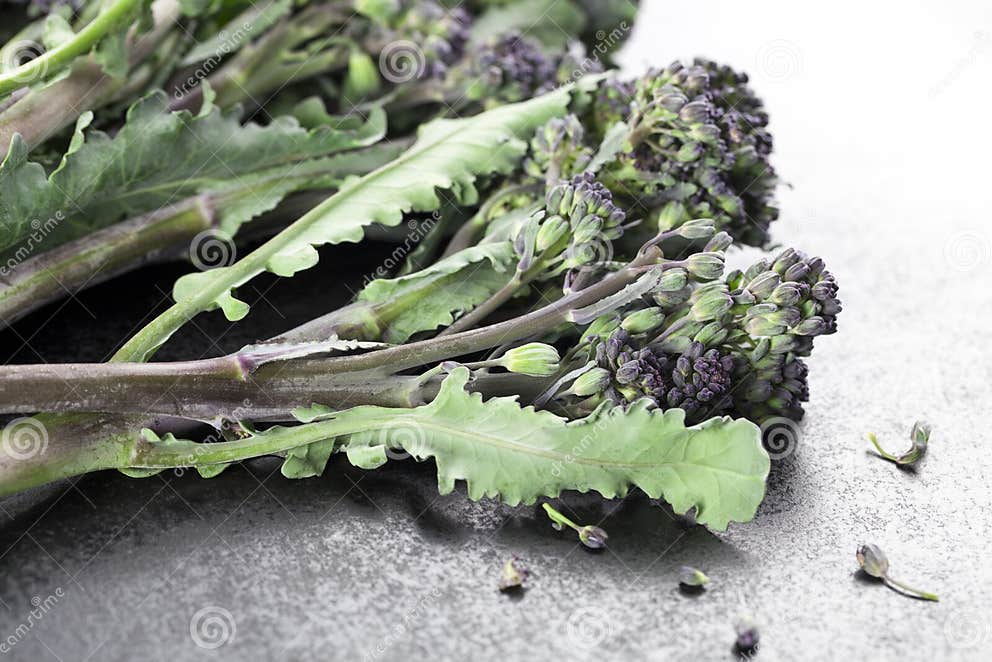 Long Stemmed Broccoli stock image. Image of organic, green - 25970065
