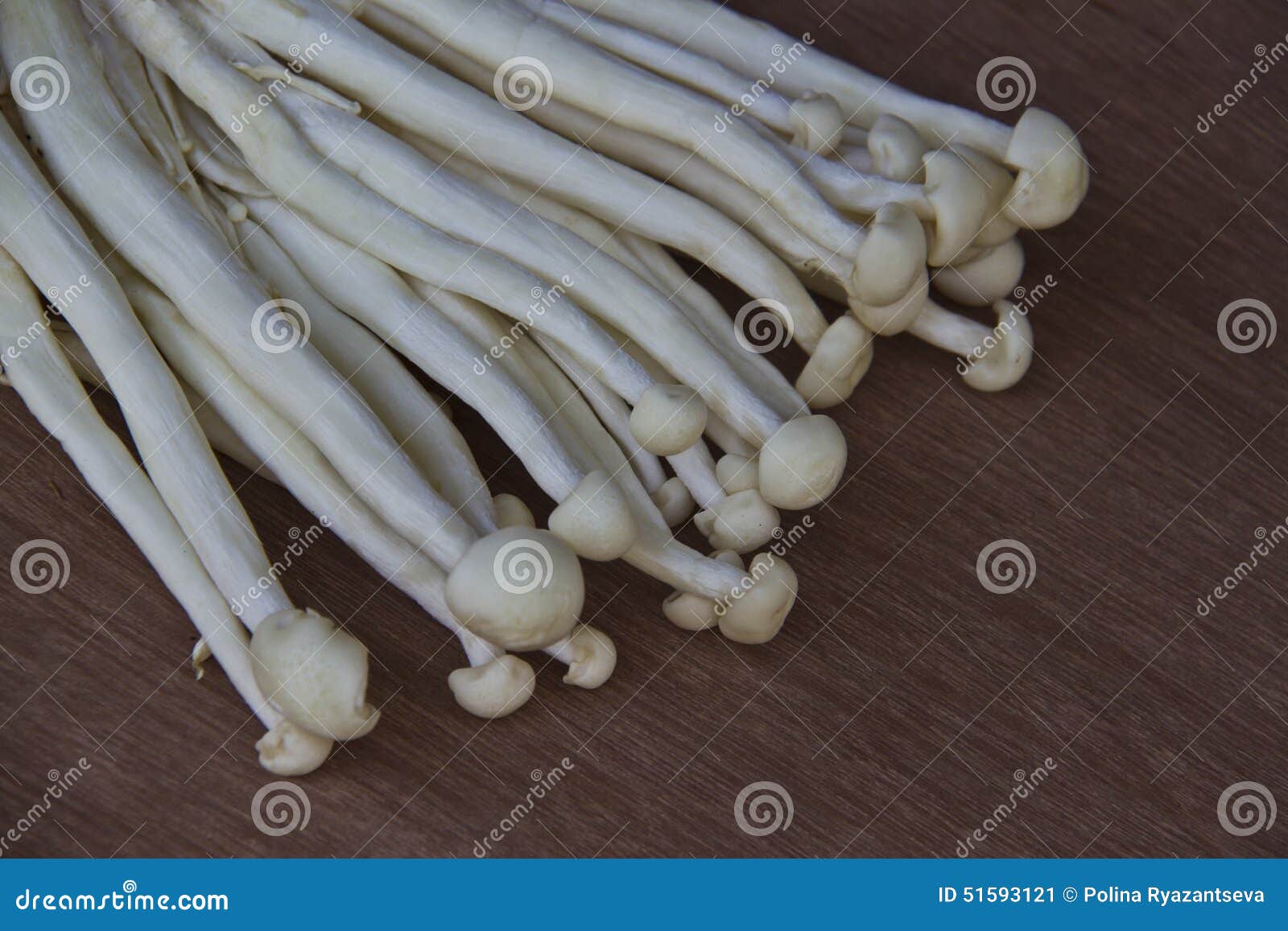 310 Stemmed Mushrooms Photos - Free & Royalty-Free Stock Photos from ...