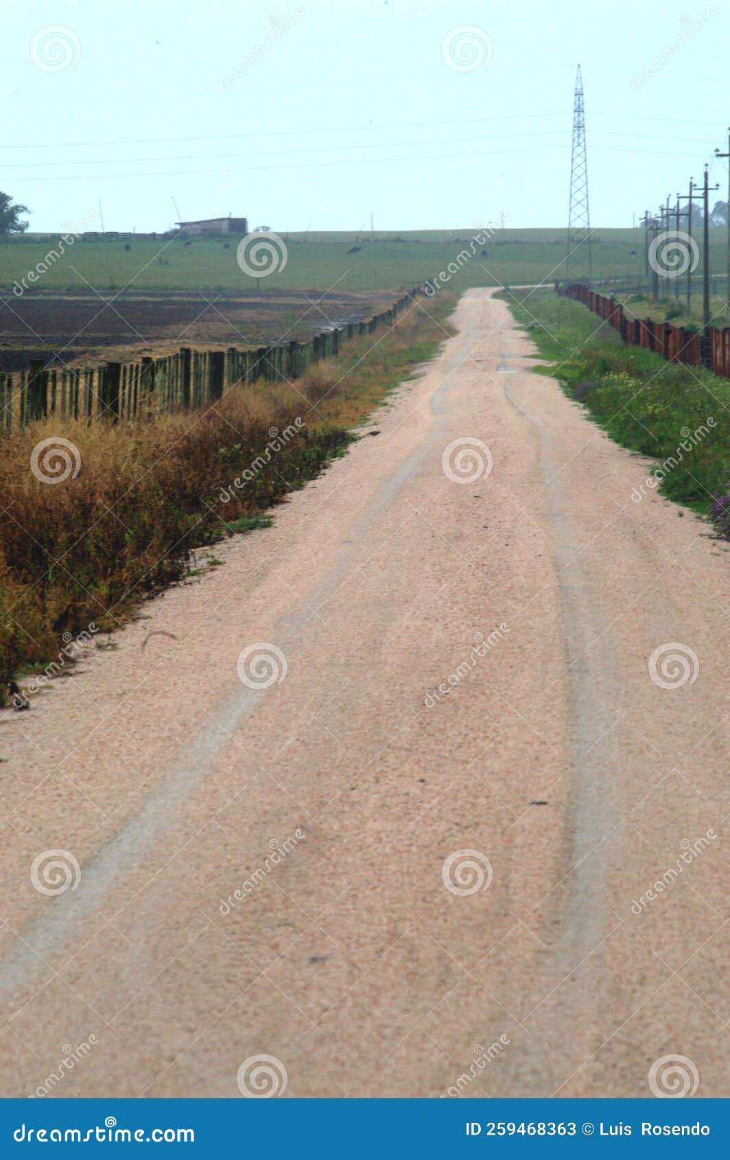 Straight Dirt Road Disappears into the Distant Horizon Stock Image ...