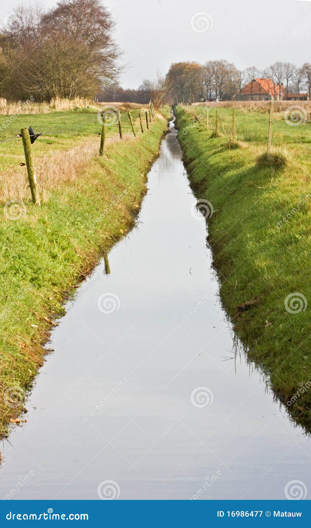 Long, straight ditch stock image. Image of meadow, netherlands - 16986477