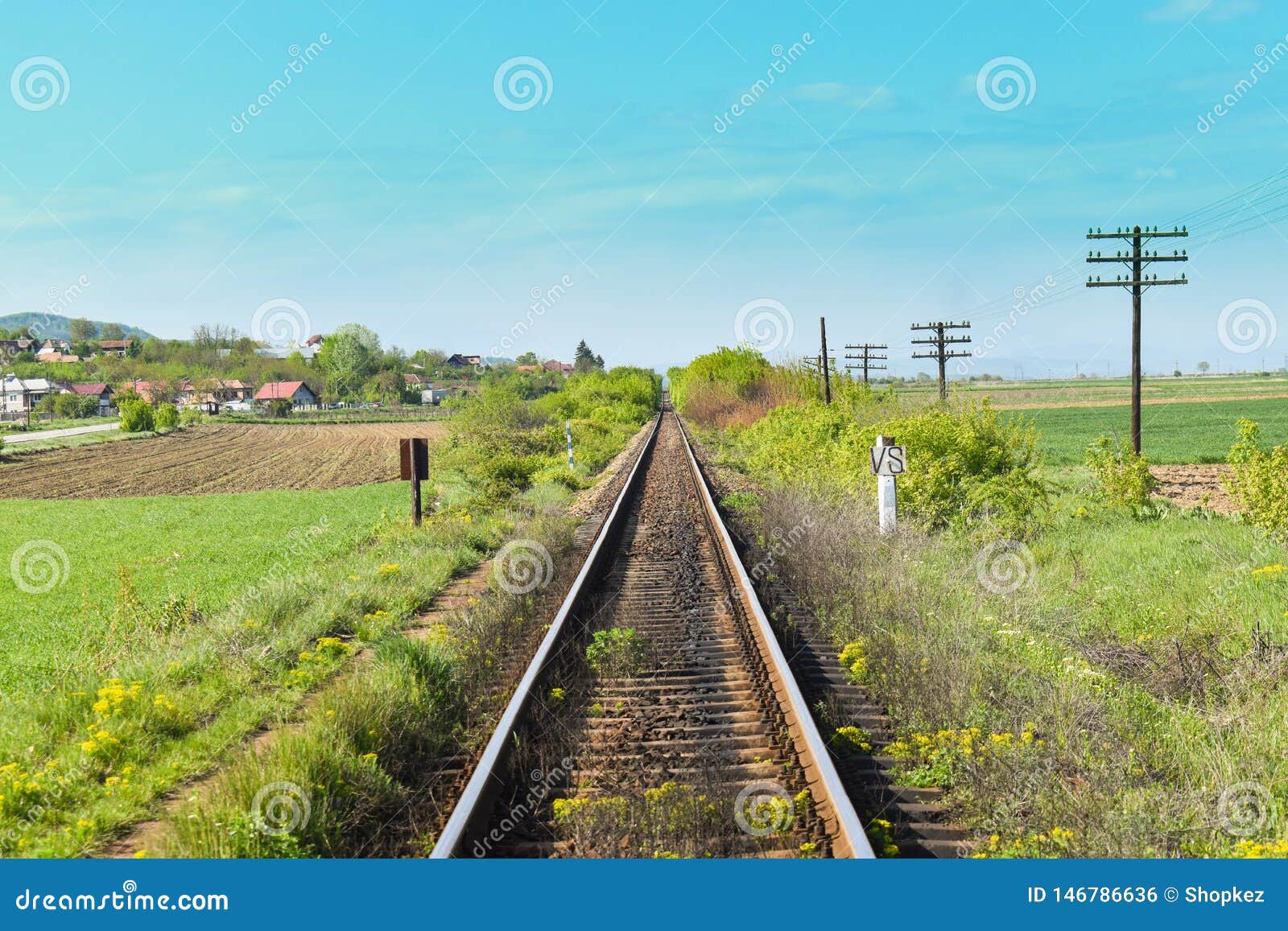 Long Straight Rails with Vegetation Stock Photo - Image of fields, rail ...