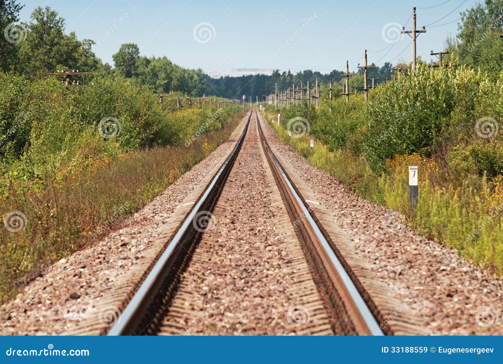 Long Straight Railway Perspective with Poles Stock Image - Image of ...