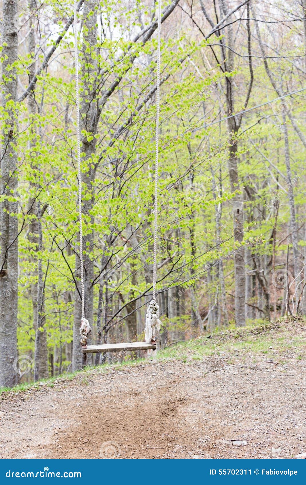 Long strings of swing stock image. Image of landscape - 55702311