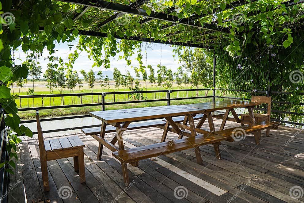 Long Table with a View of Nature Stock Photo - Image of green, park ...