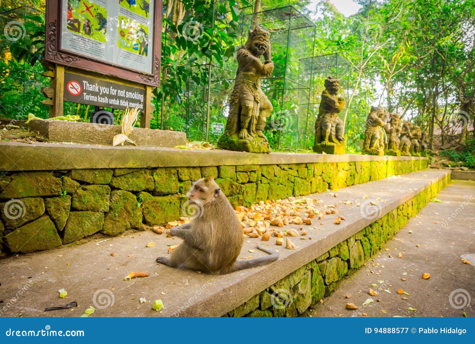 Ubud Monkey Forest On Bali Island, Indonesia Editorial Image ...
