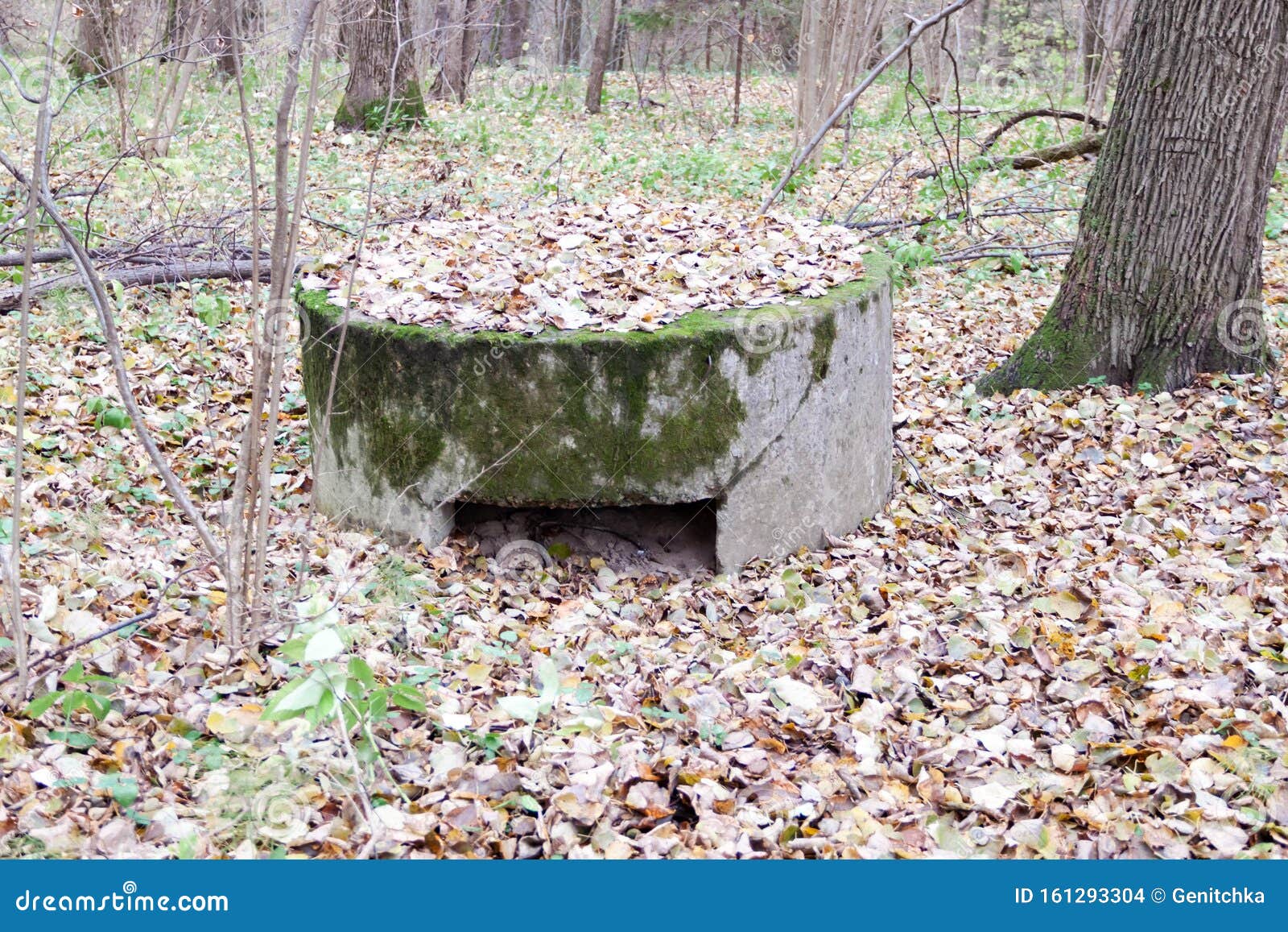 Long-term Firing Point of 2nd World War Stock Photo - Image of ...