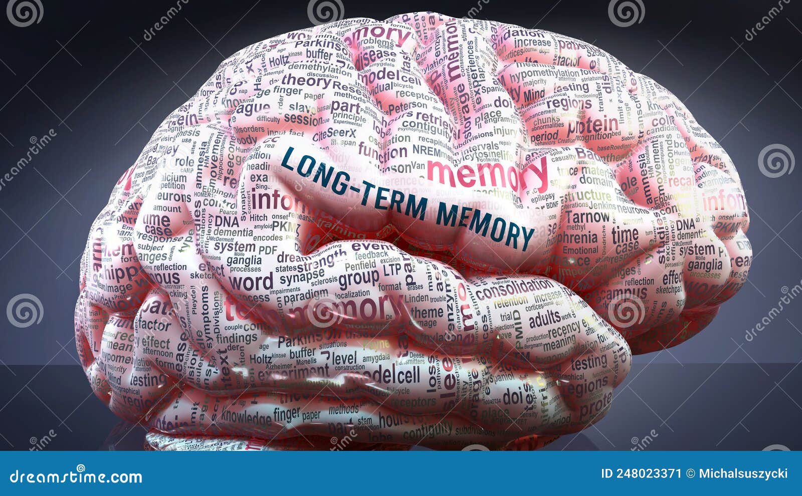 Long Term Memory and a Human Brain Stock Illustration - Illustration of ...
