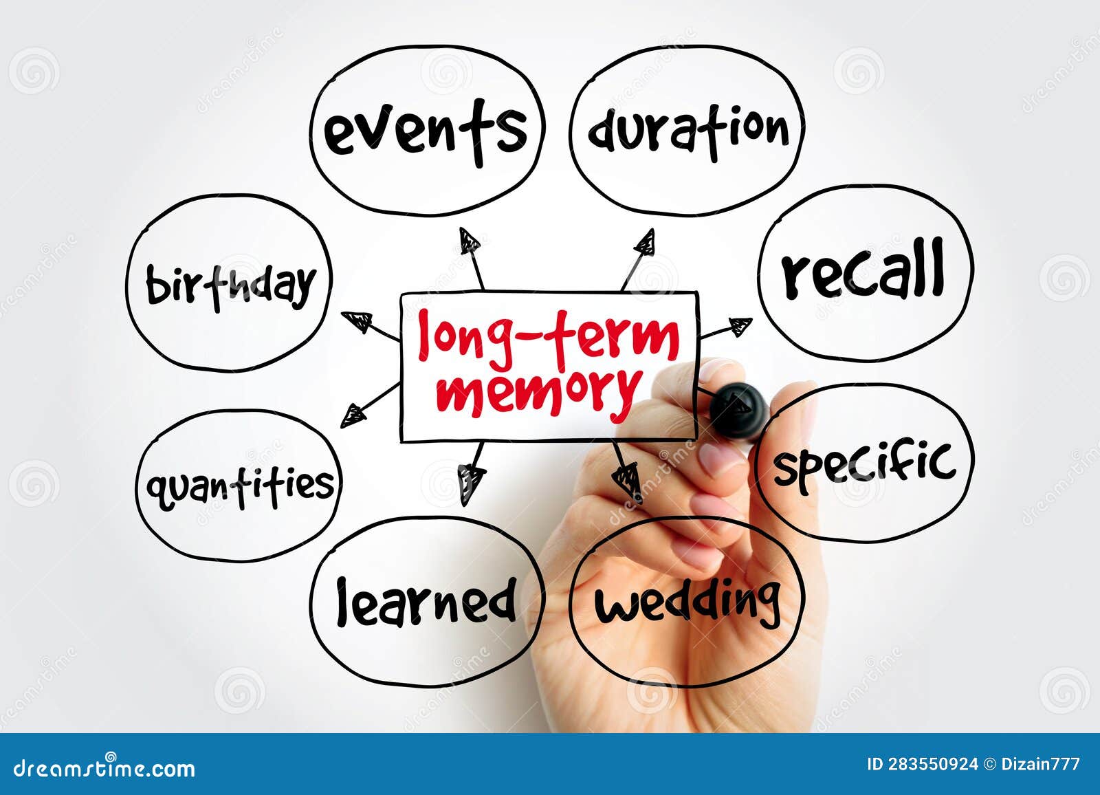 Episodic Memory, Adhd Blue Gradient Concept Icon Cartoon Vector ...