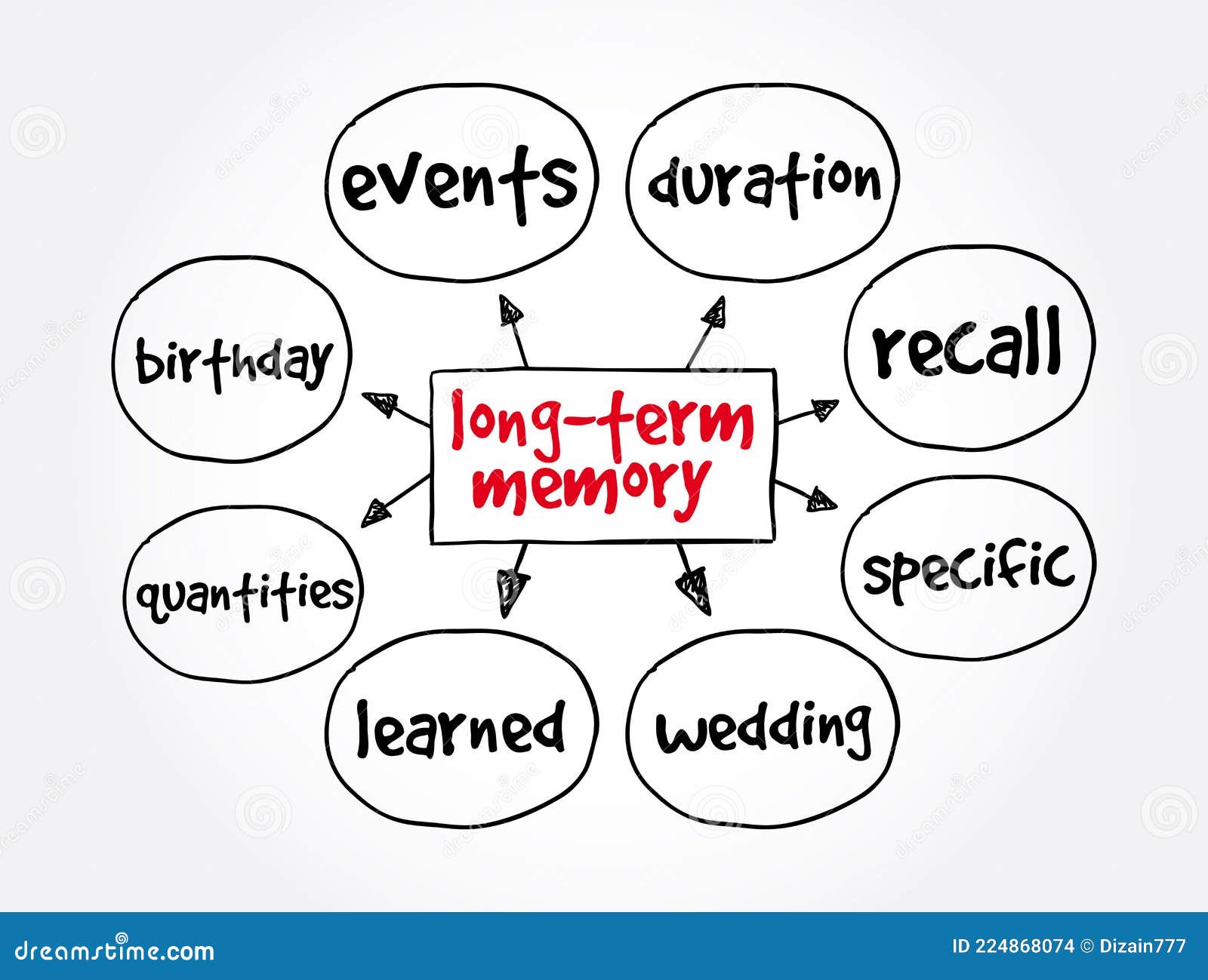 Long-term Memory Mind Map, Concept for Presentations and Reports Stock ...