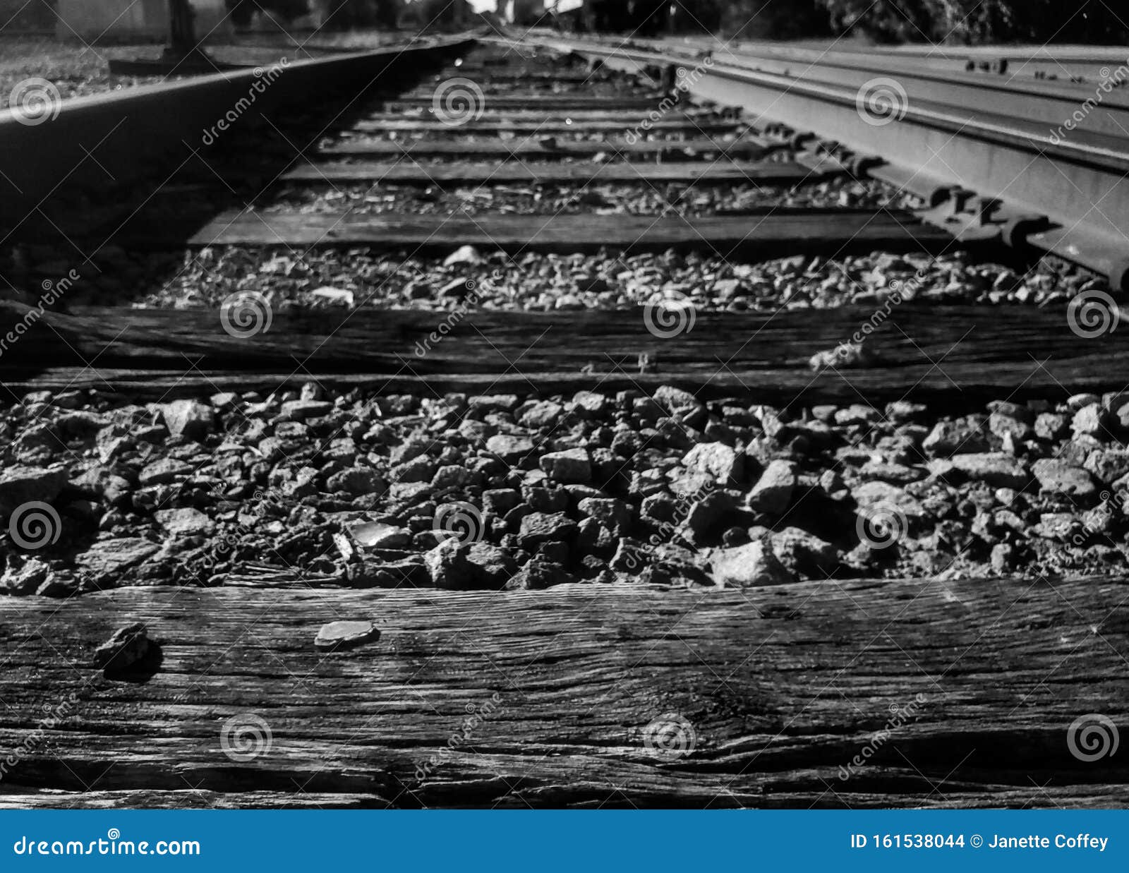The long tracks stock photo. Image of train, rail, white - 161538044