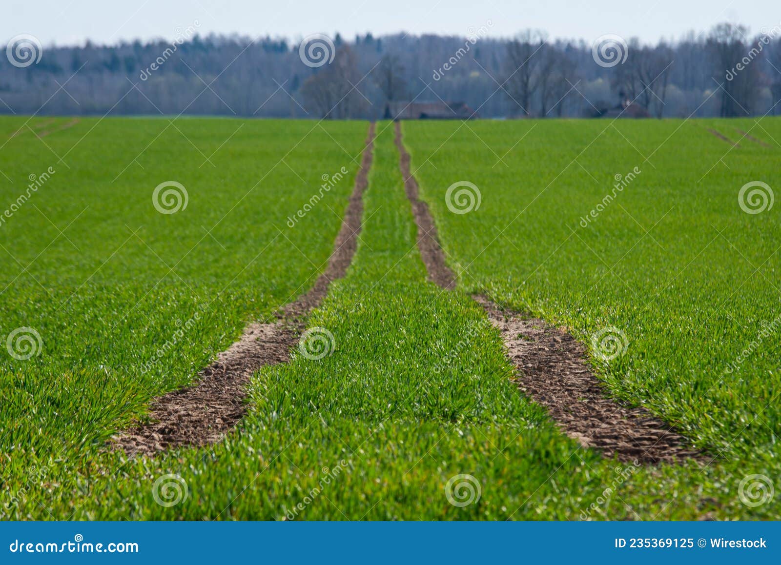 Long Trail of Tractor Tracks on a Green Field Stock Image - Image of ...