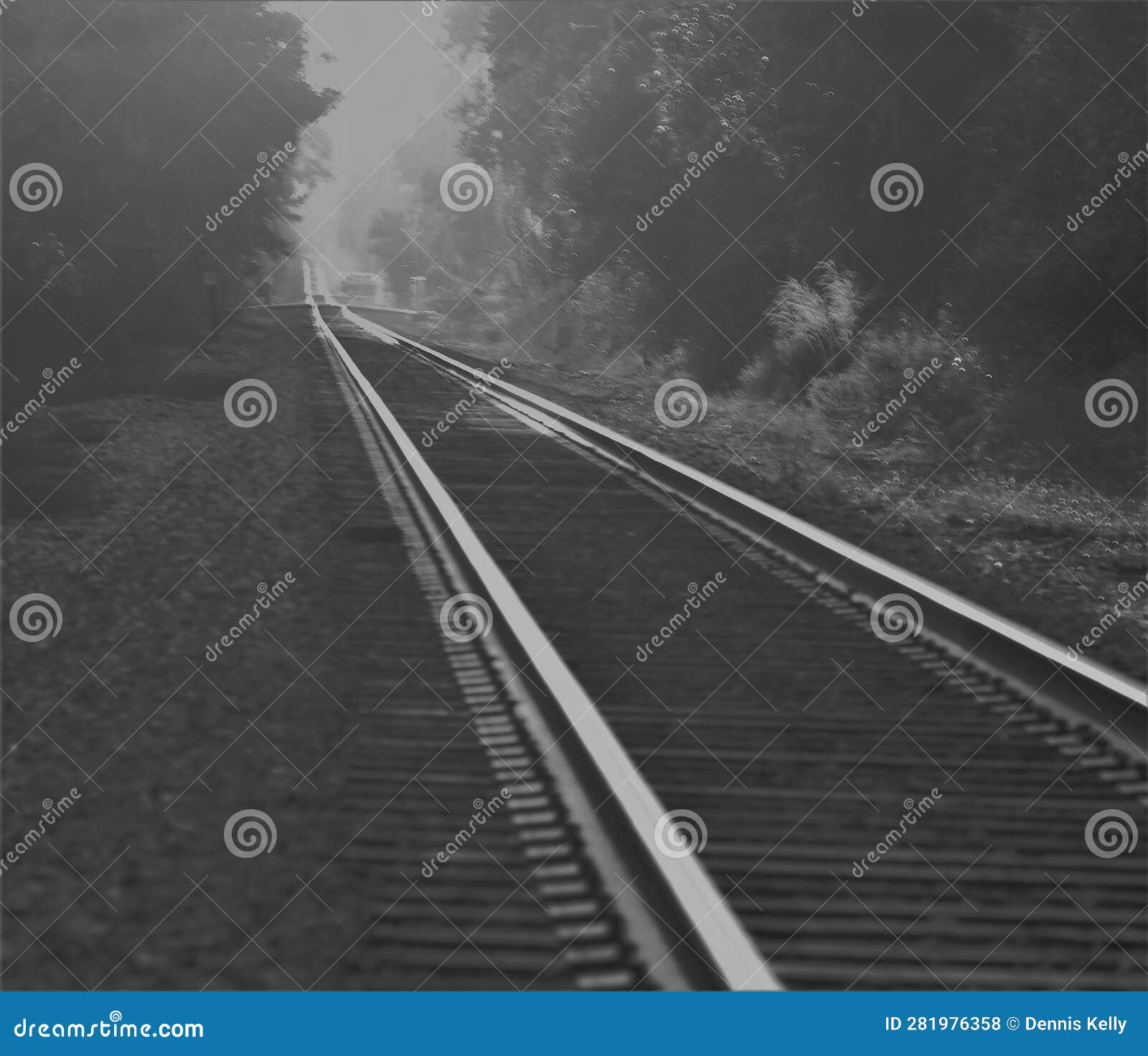 Long Train Tracks stock photo. Image of dusk, acronim - 281976358