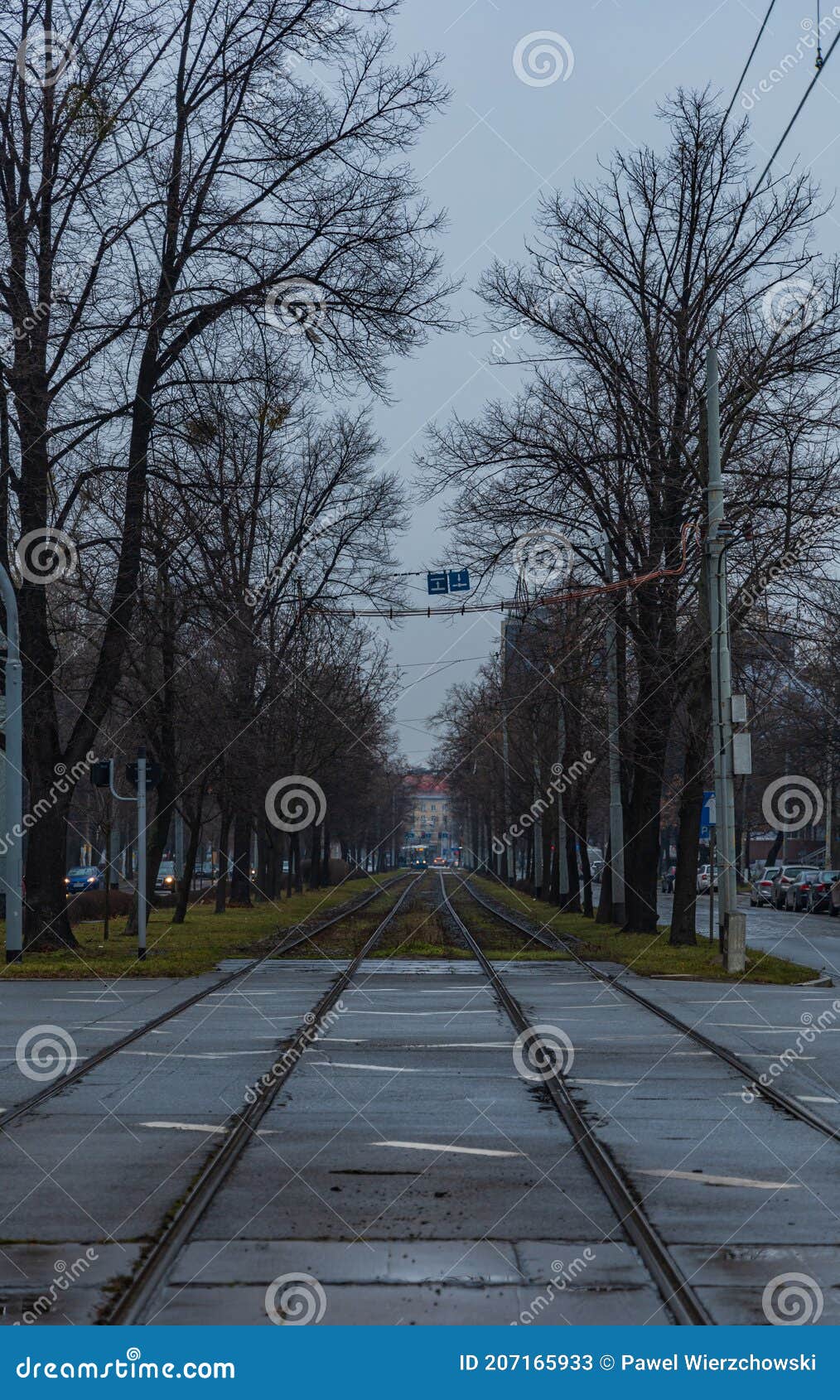 Long Tram Railway between High Trees and Road Editorial Stock Photo ...