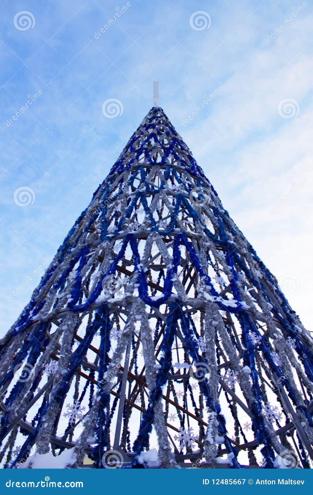 Long tree stock image. Image of blue, outdoor, saturated - 12485667
