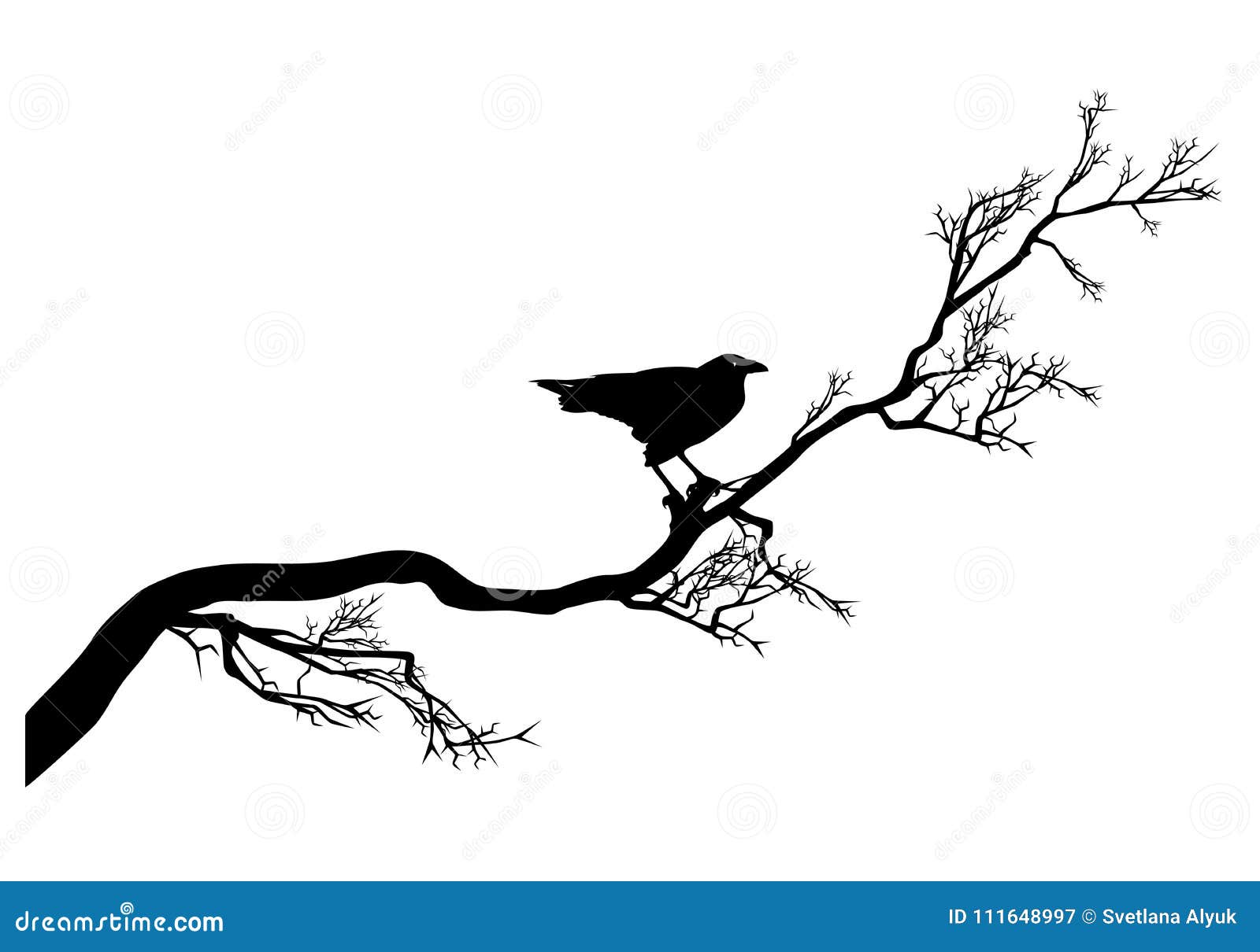 Tree Branch Silhouette With Bird