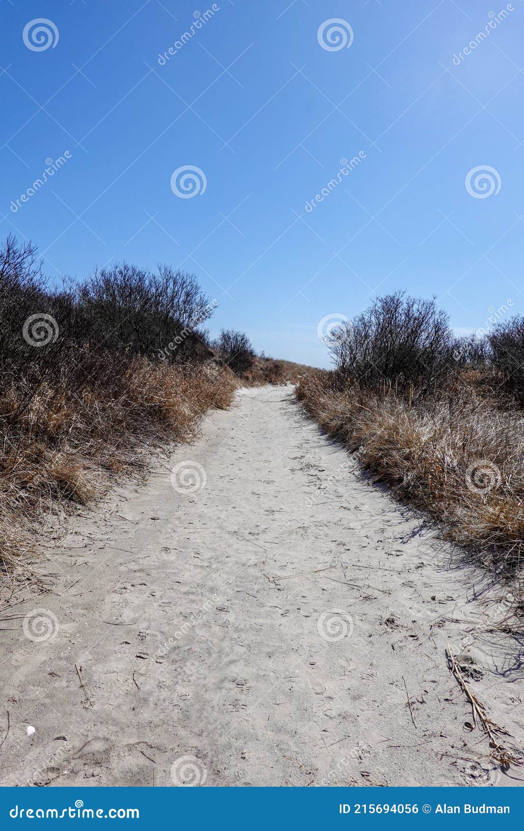 Long Vertical View of a Curved Sandy Trail through Brown Tall Grass and ...