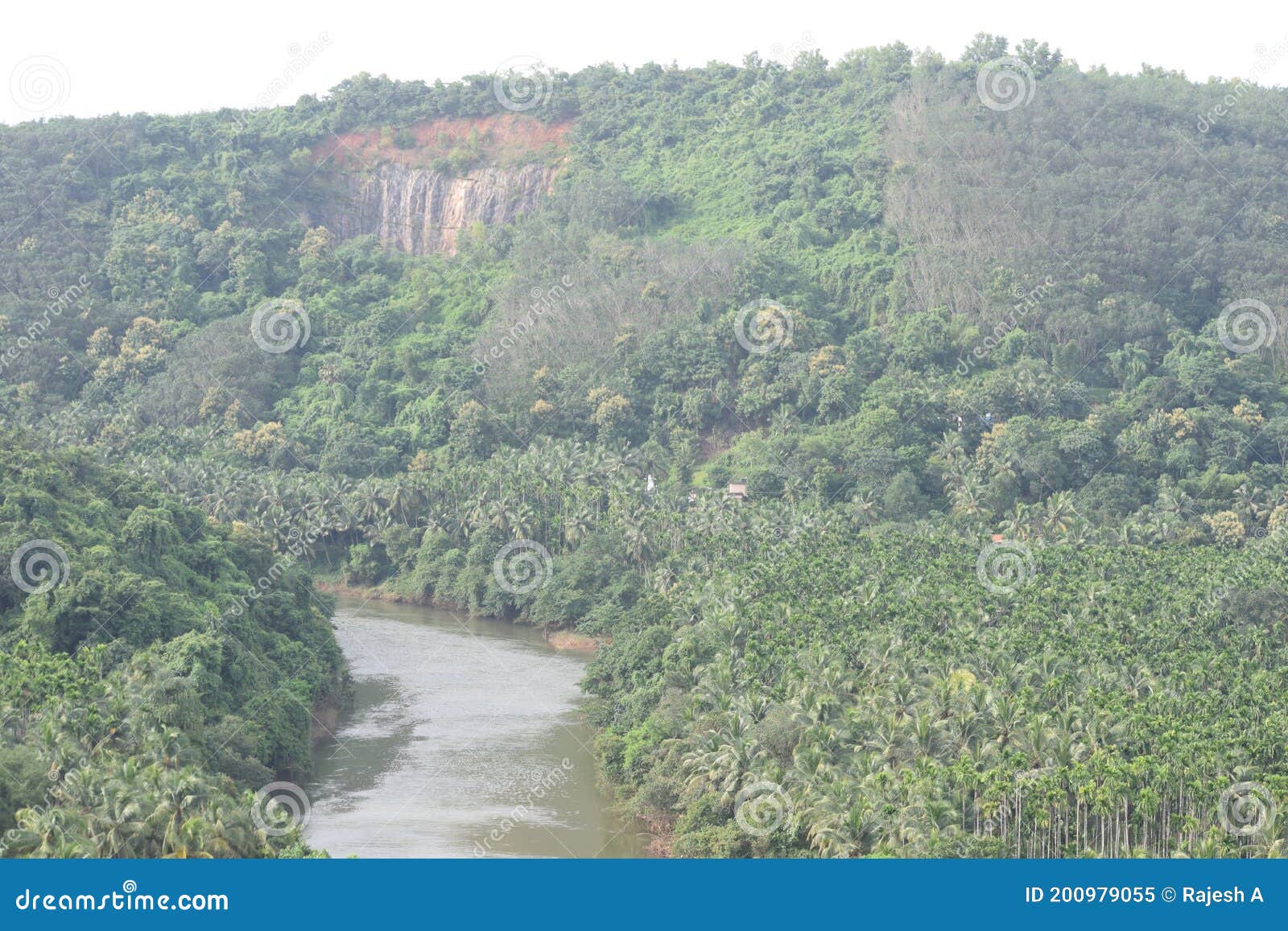 Long View of Greenery with River Stock Image - Image of forest, blue ...