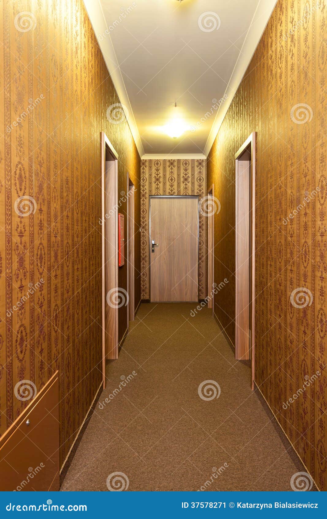 Long Vintage Hotel Corridor Stock Image - Image of figured, small: 37578271