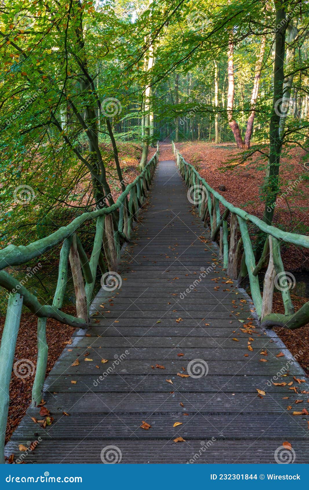 Long Walk Bridge in a Forest Stock Photo - Image of wilderness, path ...