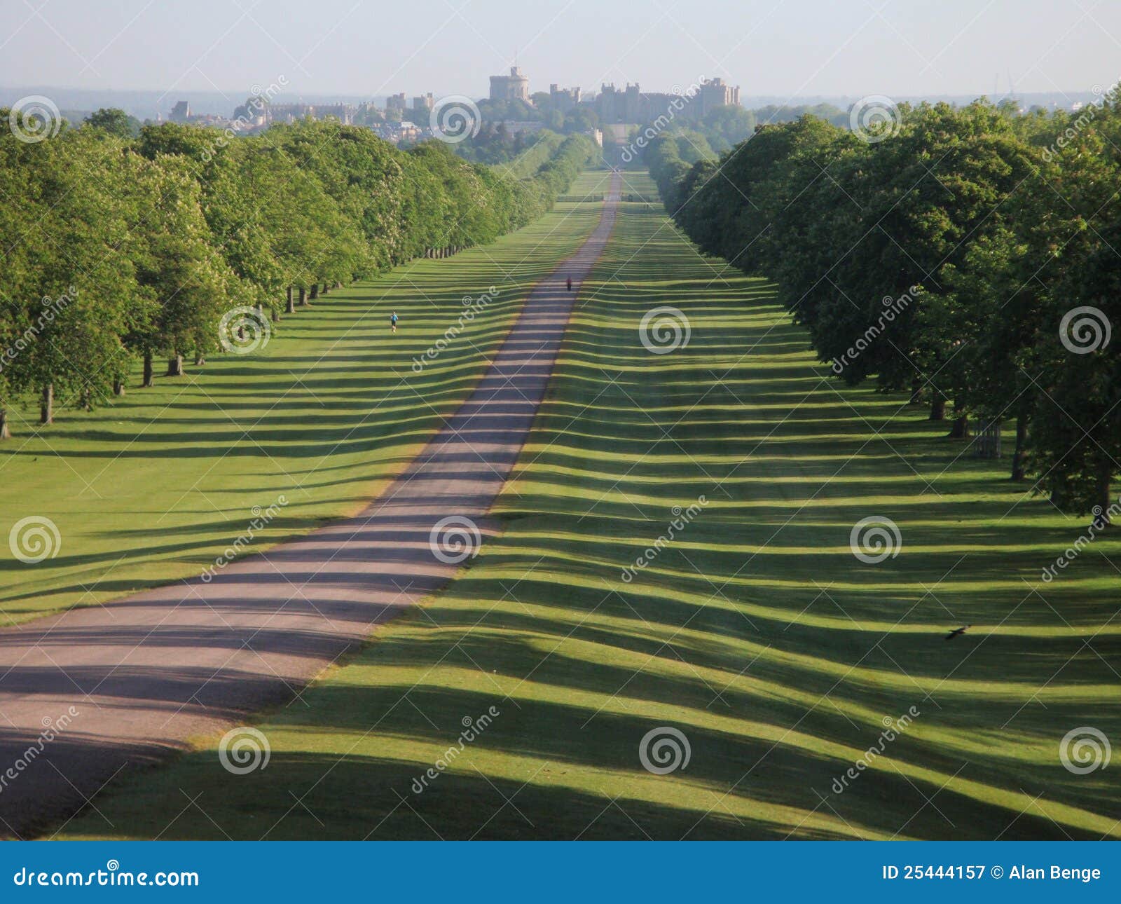 The Long Walk, Great Windsor Park, England. Stock Image - Image of ...