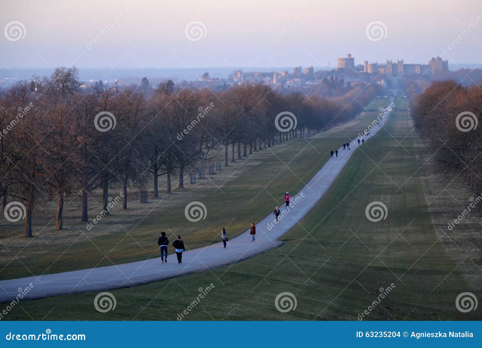 The Long Walk, Windsor Great Park, England, UK Editorial Stock Image ...
