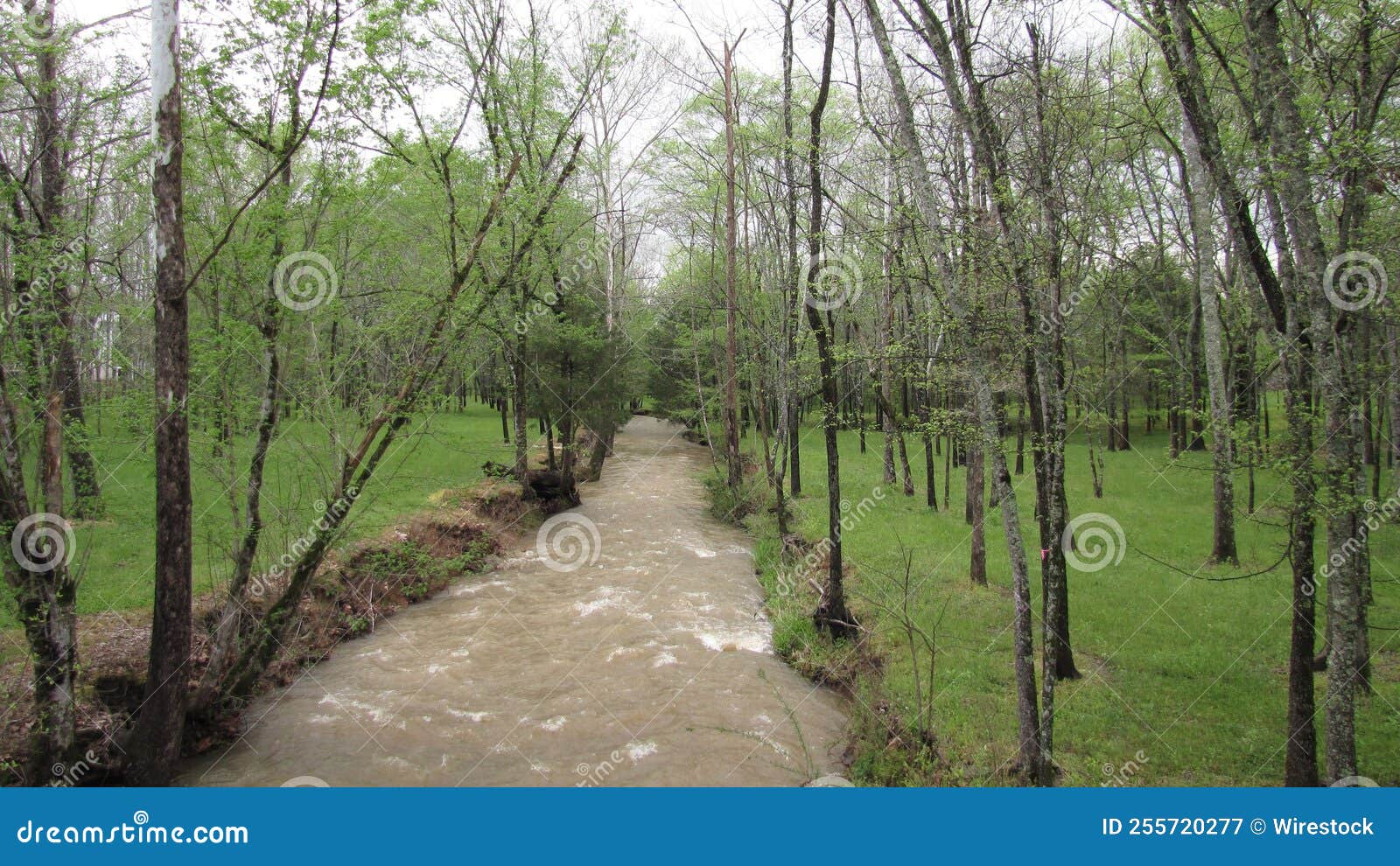 Long Walking Trail through a Green Park Stock Image - Image of ...