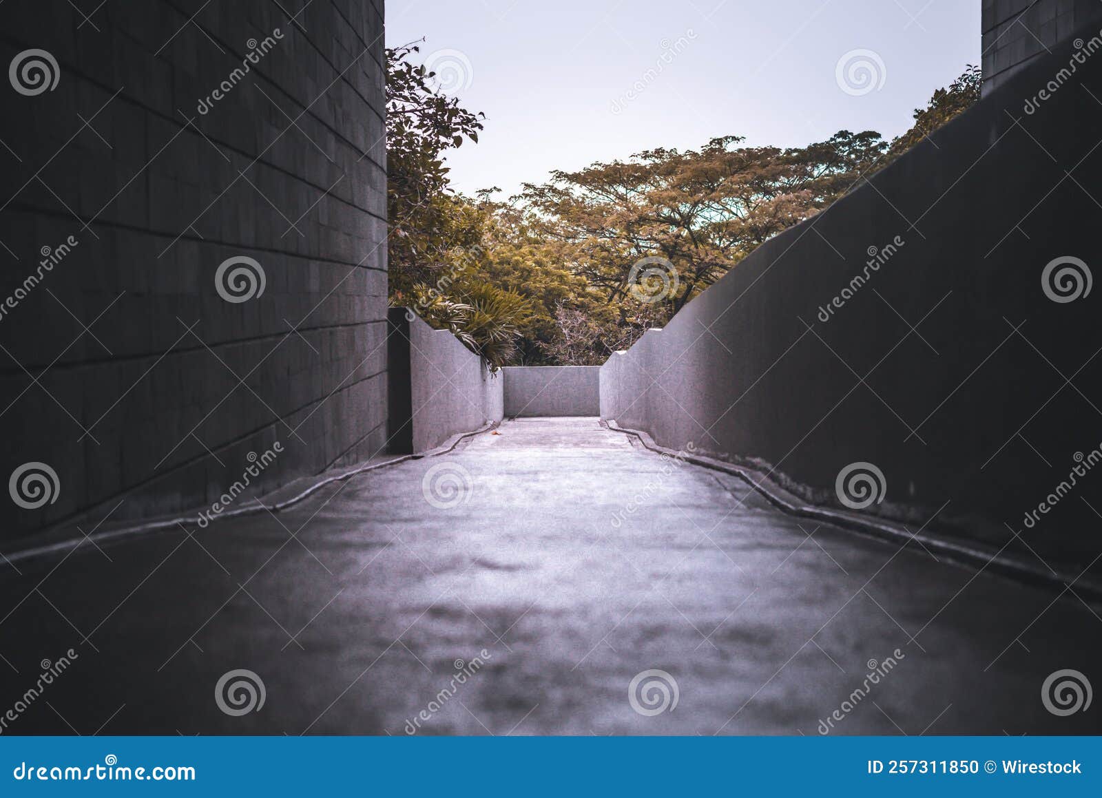 Long Walkway on a Modern Building Side Stock Photo - Image of nature ...
