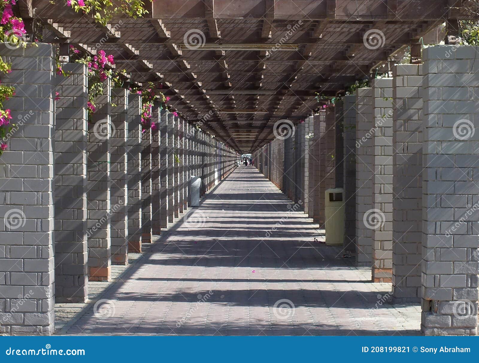 Long walkway stock image. Image of arch, fence, tree - 208199821