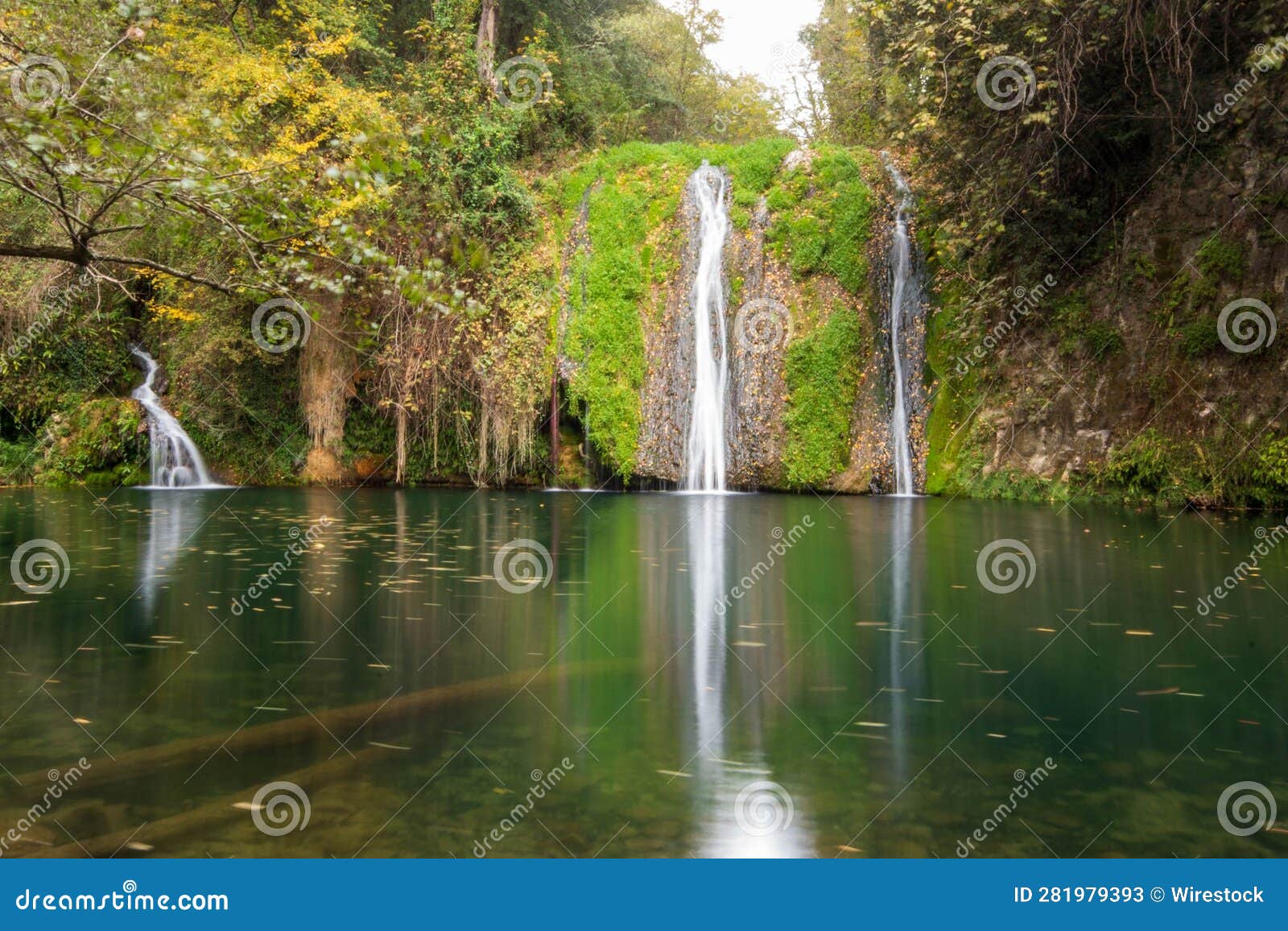 A Long Waterfall Flowing Down into a Lush Green Forest Filled with ...