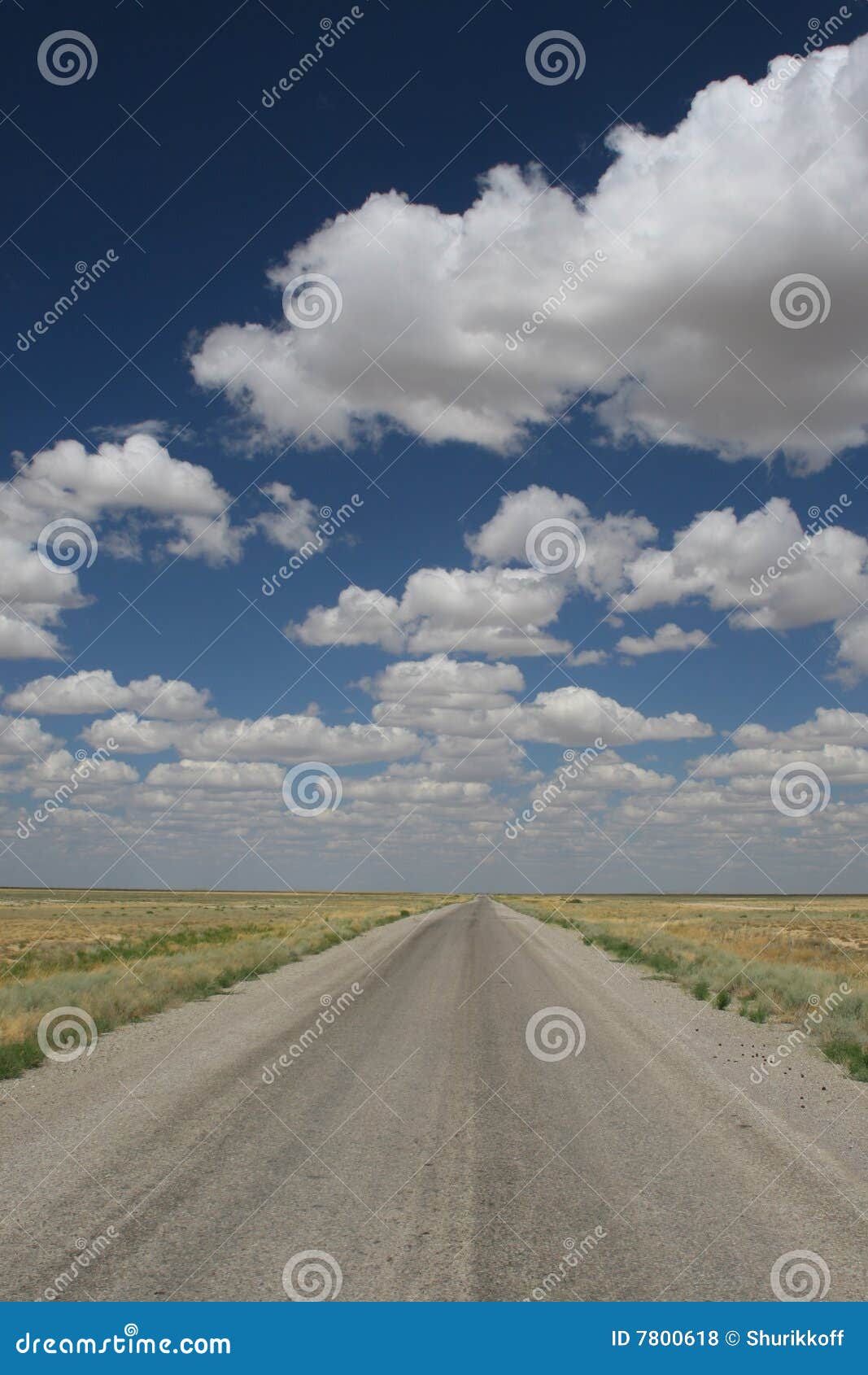 Long Way from Home stock photo. Image of travel, horizon - 7800618