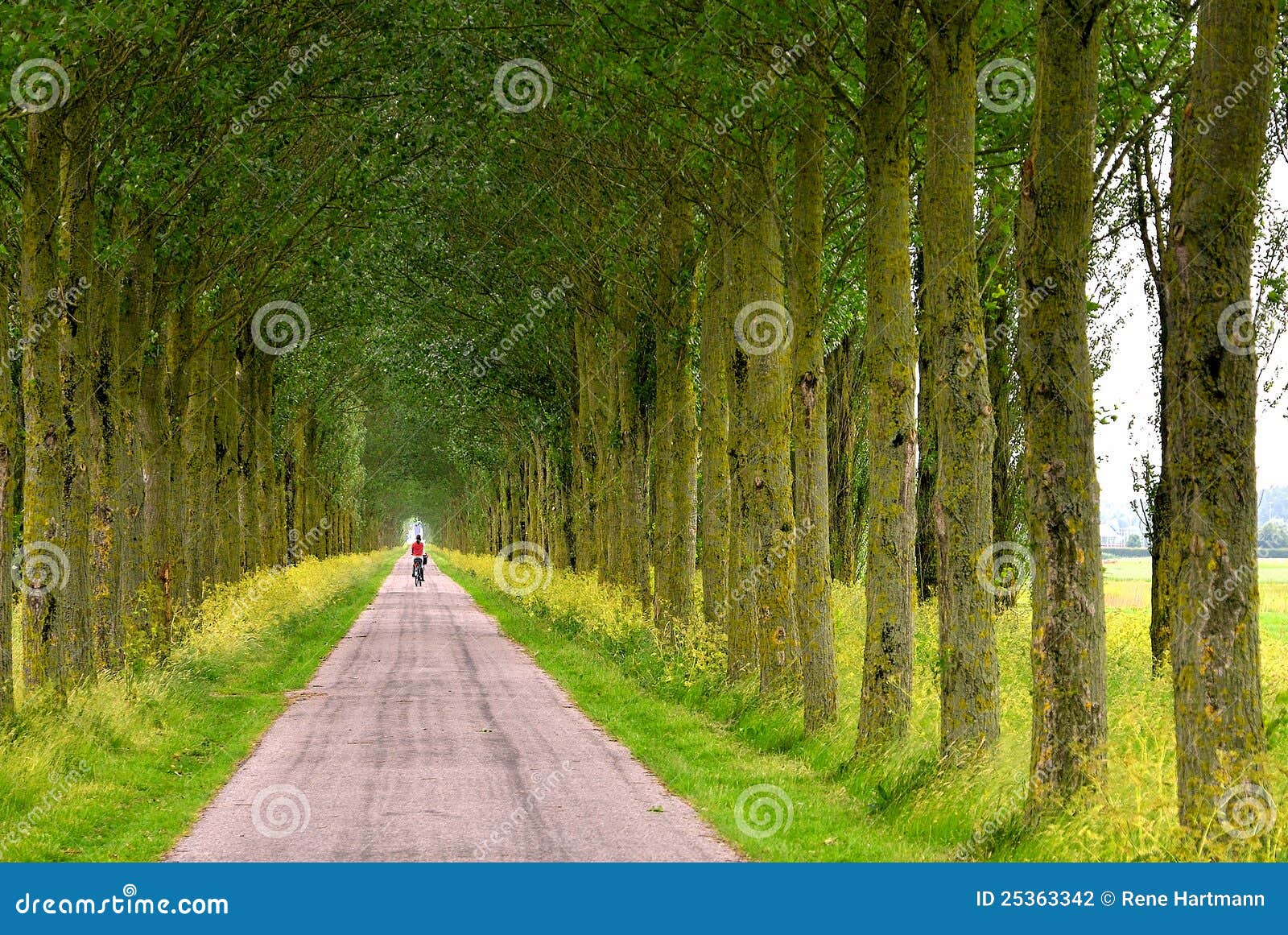 A long way to go stock photo. Image of bicycle, background - 25363342
