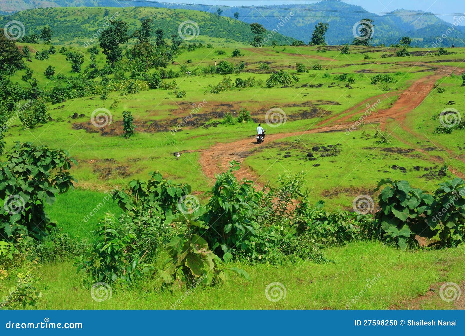Long way to go stock photo. Image of clear, green, superb - 27598250