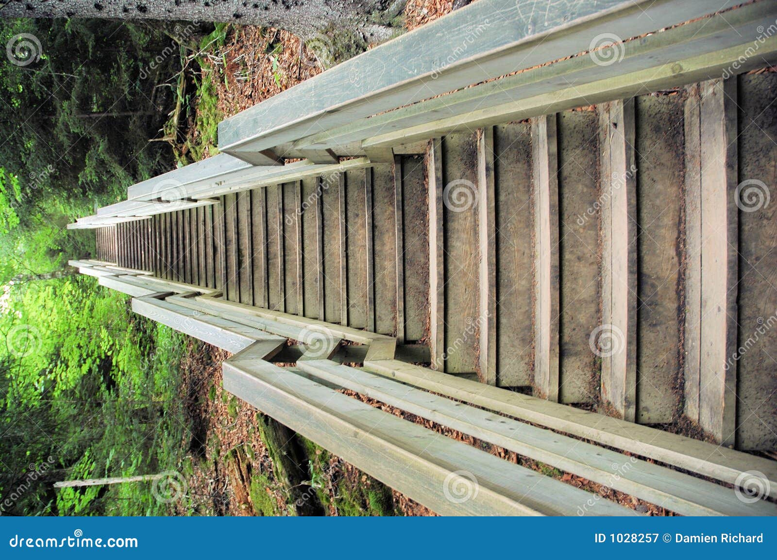 Long way up. stock image. Image of stairway, adventure - 1028257