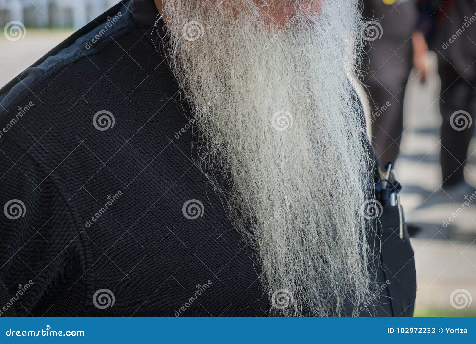 Long white beard stock image. Image of senior, isolated - 102972233