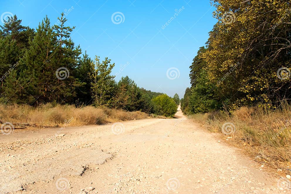 Long and wide forest road stock image. Image of green - 15398031