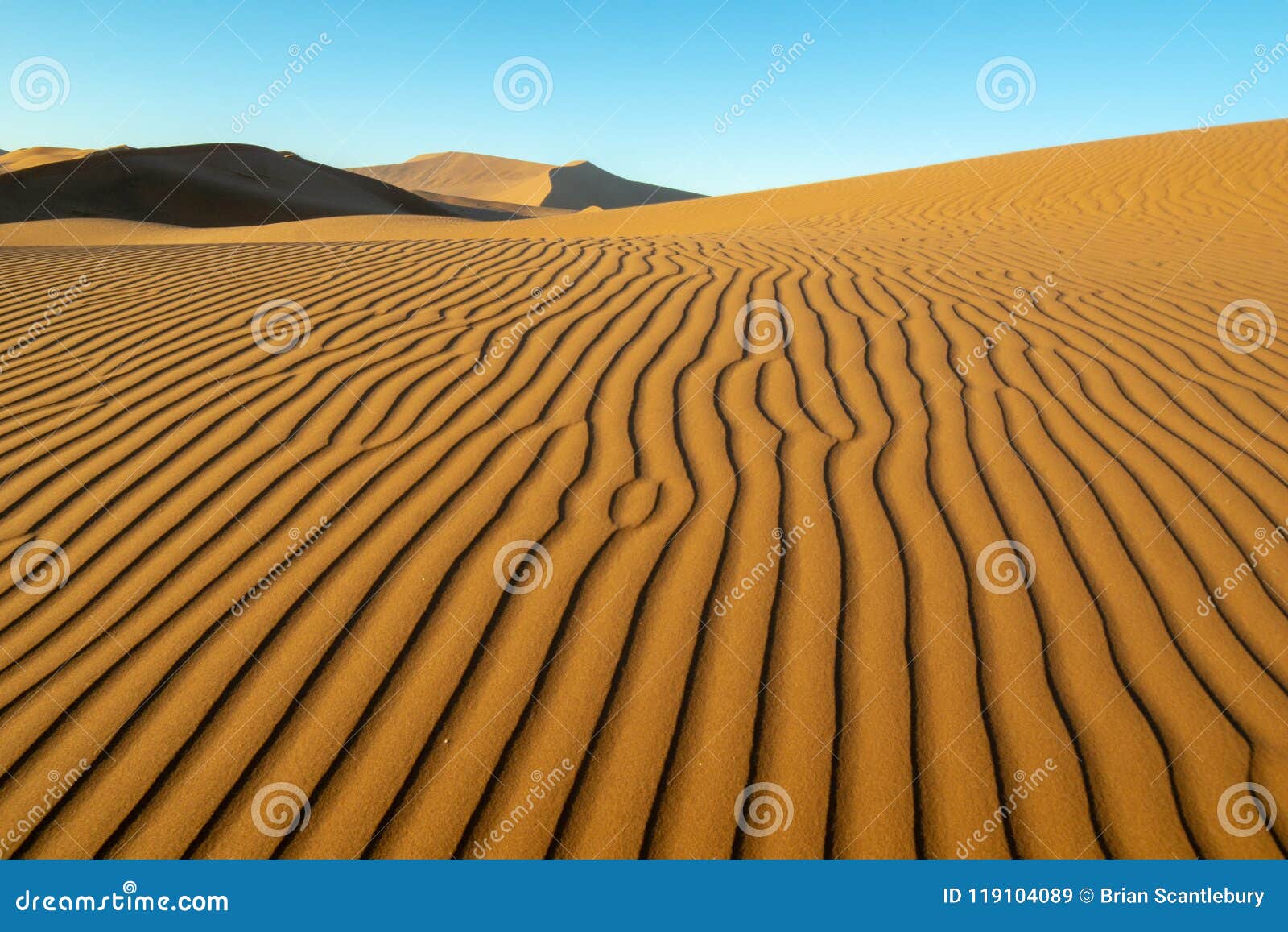 Long Wind Formed Ripples with Shadow Defined Edges in Dunes of H Stock ...