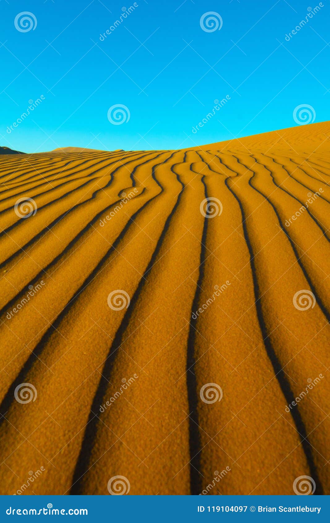 Long Wind Formed Ripples with Shadow Defined Edges in Dunes of H Stock ...