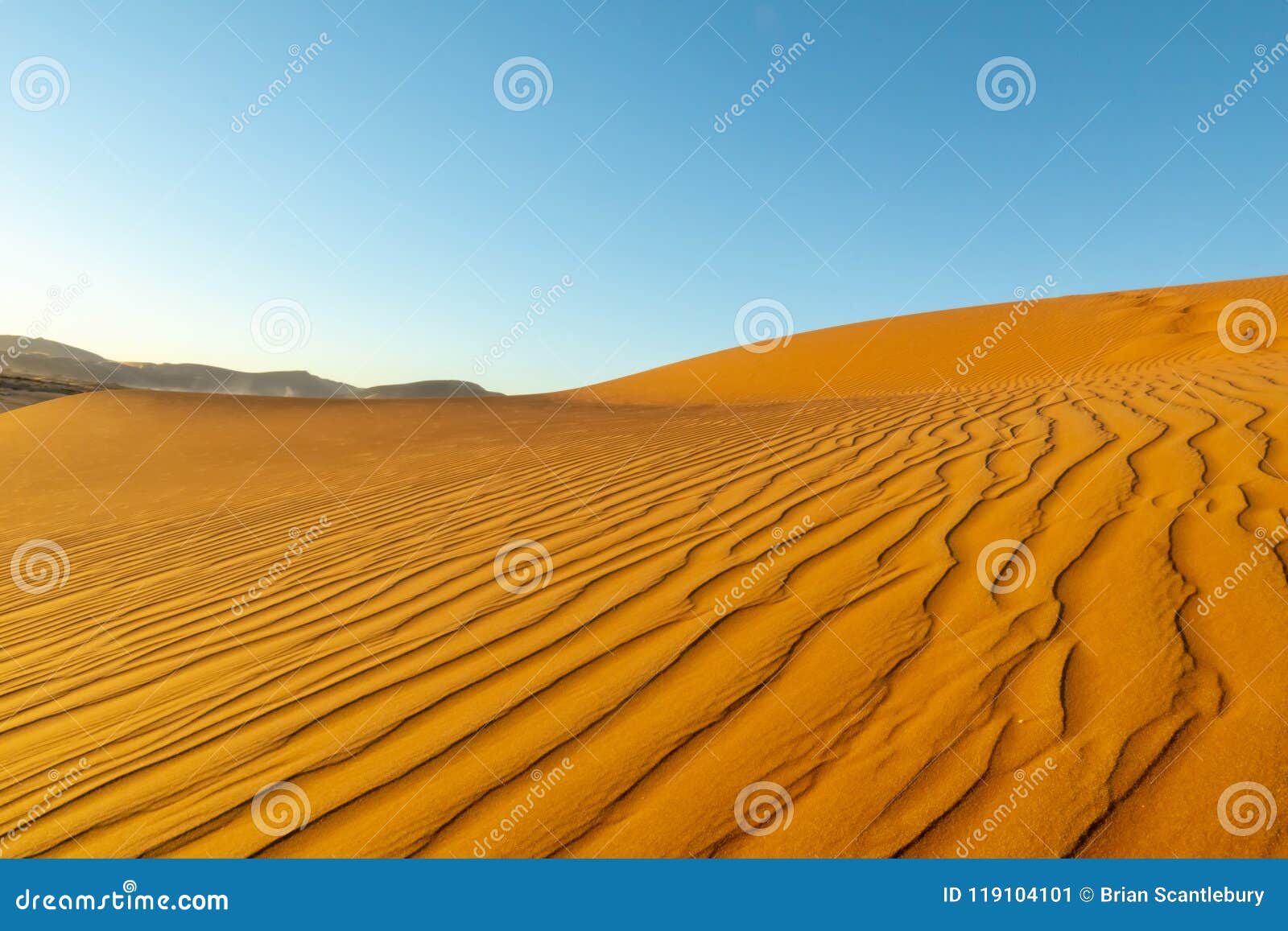 Long Wind Formed Ripples with Shadow Defined Edges in Dunes of H Stock ...